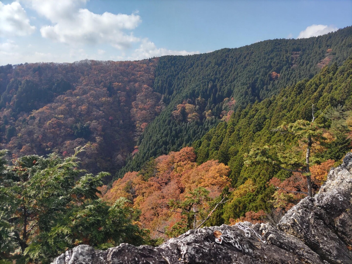 つづら岩→馬頭刈山→瀬音の湯 / ミソさんの大岳山・御岳山・御前山の活動データ | YAMAP / ヤマップ