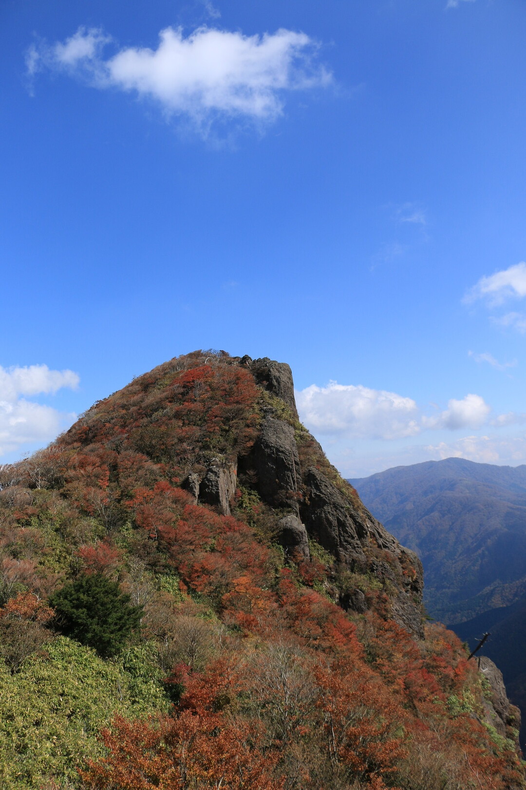 親父の頭を踏みつけて...... / hobo_soloさんの祖母山の活動日記 | YAMAP / ヤマップ