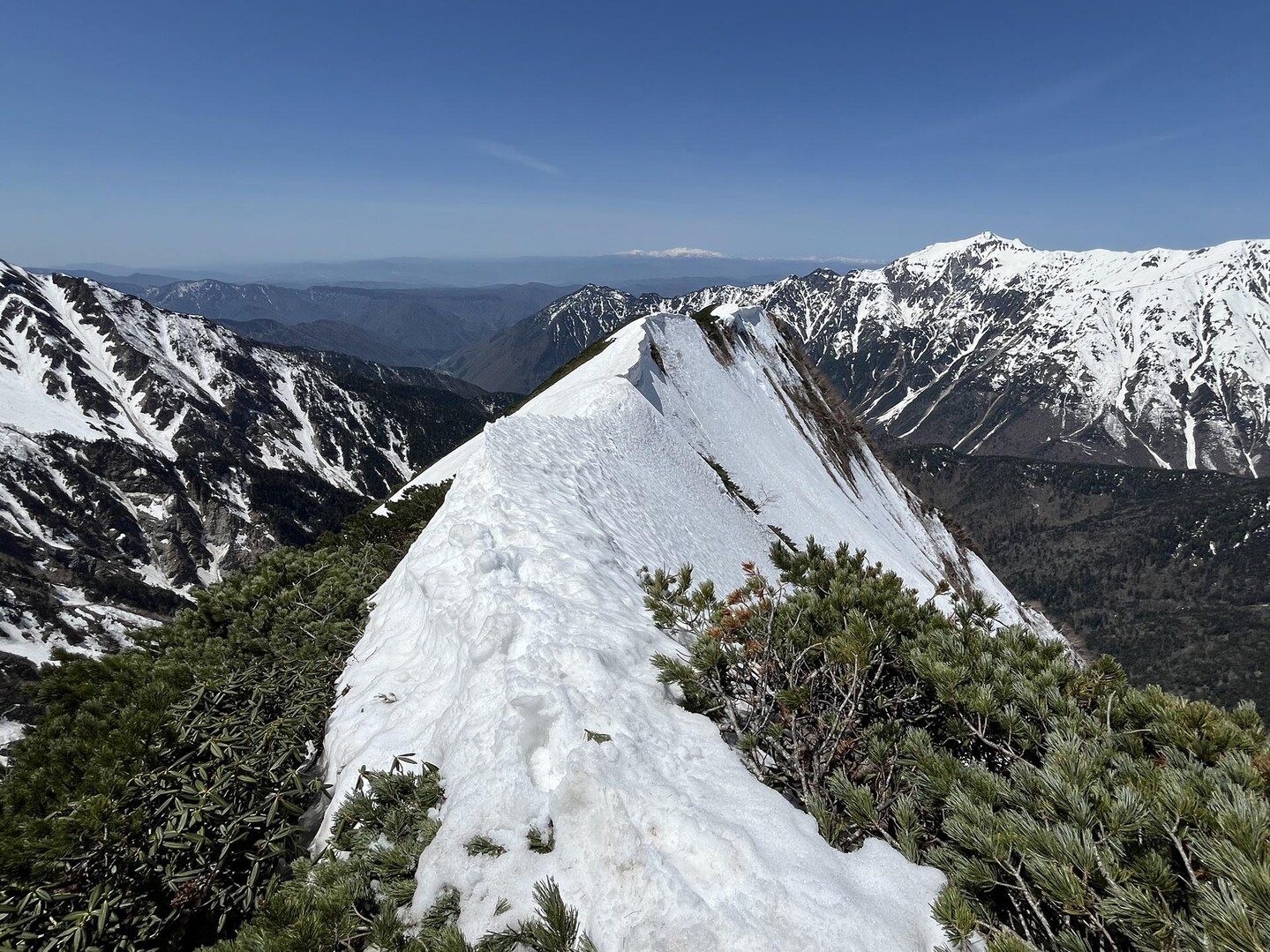 春の涸沢西尾根 / Jさんの槍ヶ岳・穂高岳・上高地の活動データ | YAMAP / ヤマップ