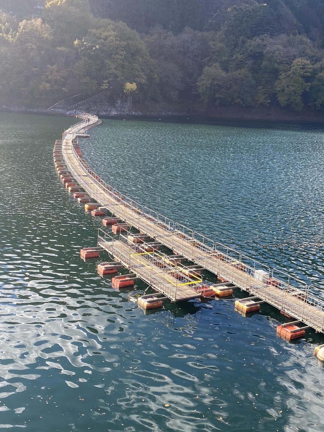 麦山浮橋から三頭山 / Myaccoroさんの三頭山・槇寄山・土俵岳の活動データ | YAMAP / ヤマップ