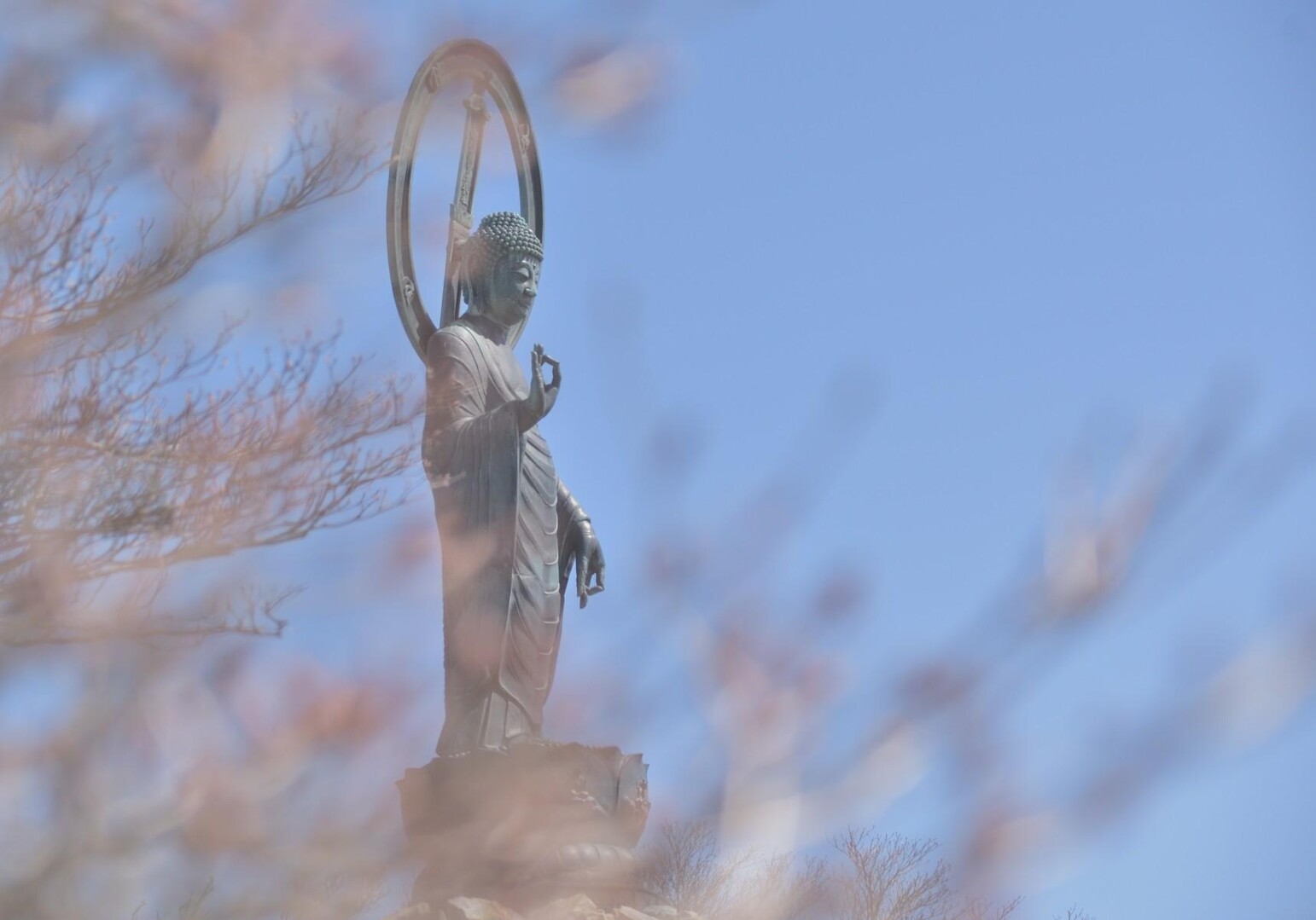 優しく微笑む 釈迦ヶ岳 / ⛅Nori-jiさんの登山の活動データ | YAMAP / ヤマップ