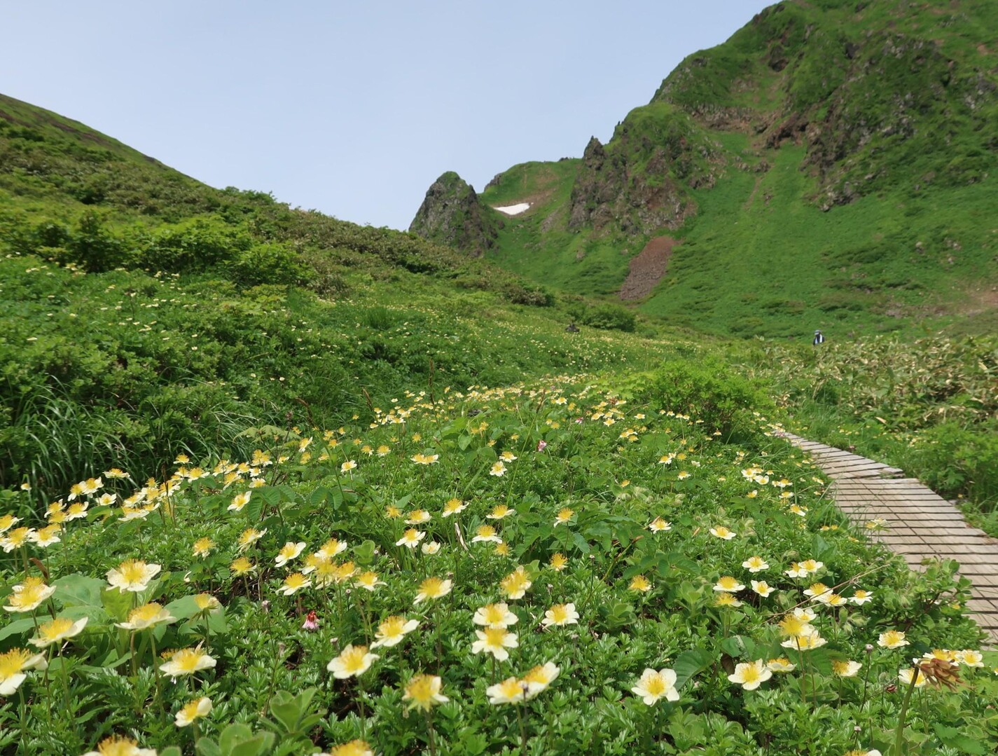 🌼憧れのムーミン谷へ🌼 / mikeさんの秋田駒ヶ岳・男女岳・貝吹岳の活動データ | YAMAP / ヤマップ