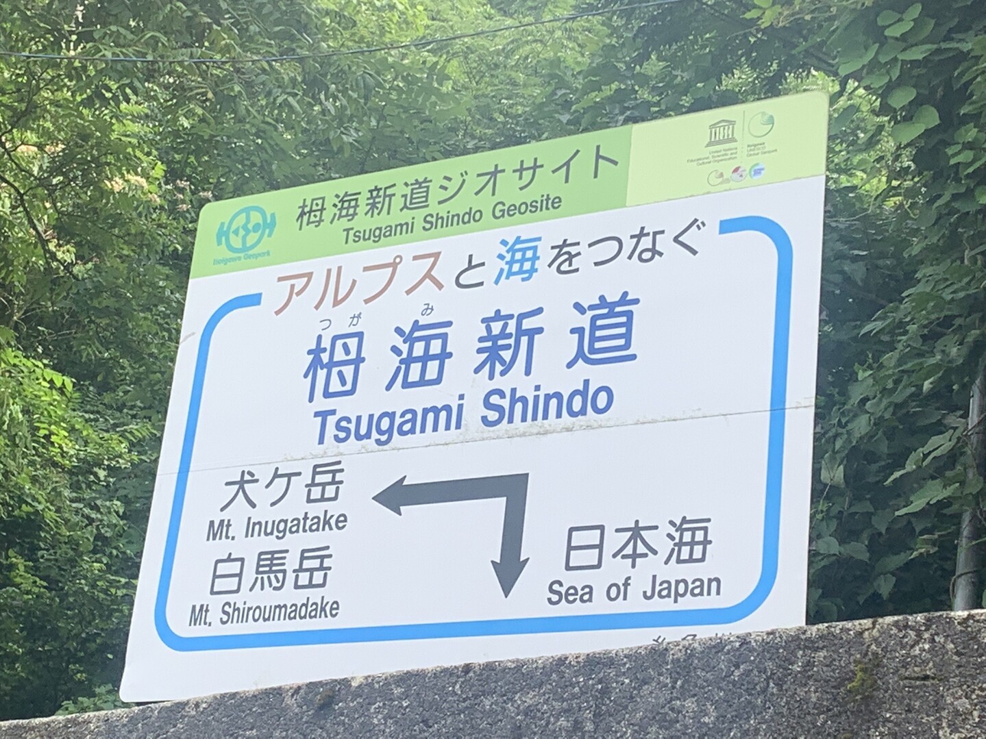 イブリ山・朝日岳・黒岩山・サワガニ山・犬ヶ岳・黄連山・菊石山・下駒ヶ岳・白鳥山・金時の頭・尻高 ♫尾根を渡る風 〜♩さんの白鳥山・下