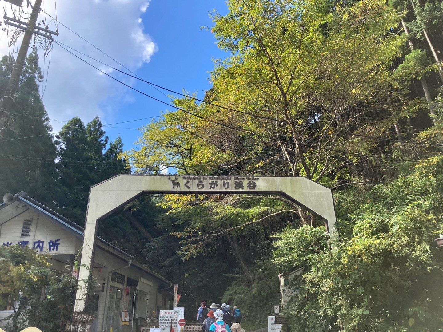 本宮山清掃山行 くらがり渓谷から林道歩き / siriaさんの本宮山・大日山・風頭山の活動データ | YAMAP / ヤマップ