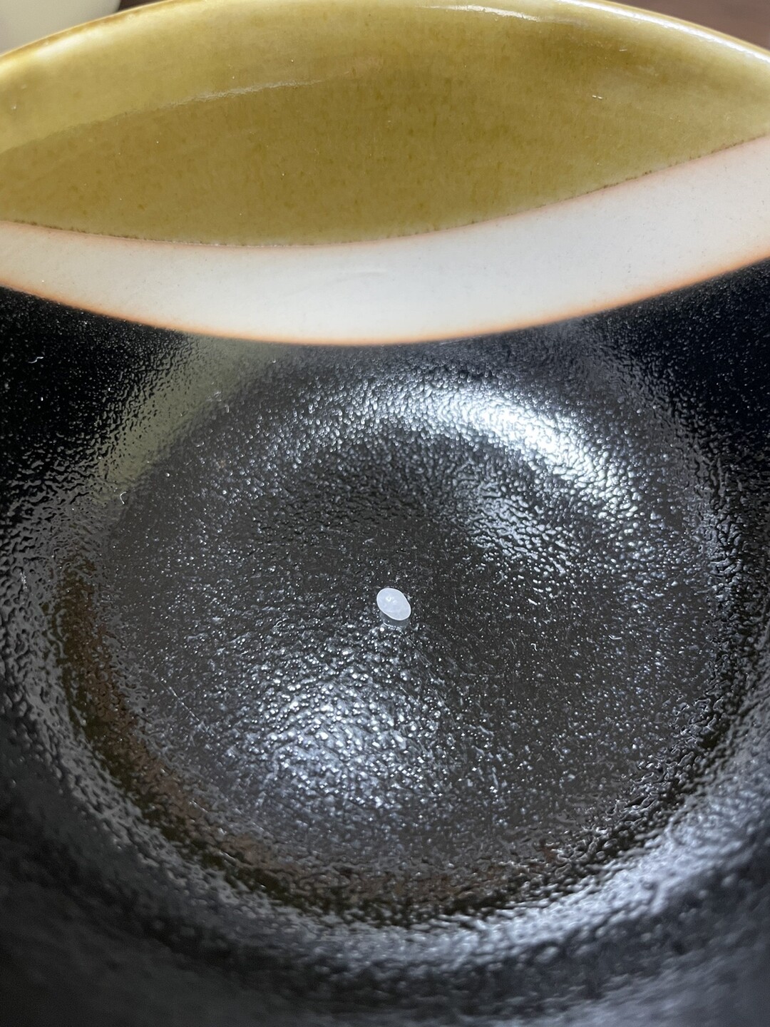 また真珠？ 今度は牡蠣から出ました。 / junpeiさんのモーメント | YAMAP / ヤマップ