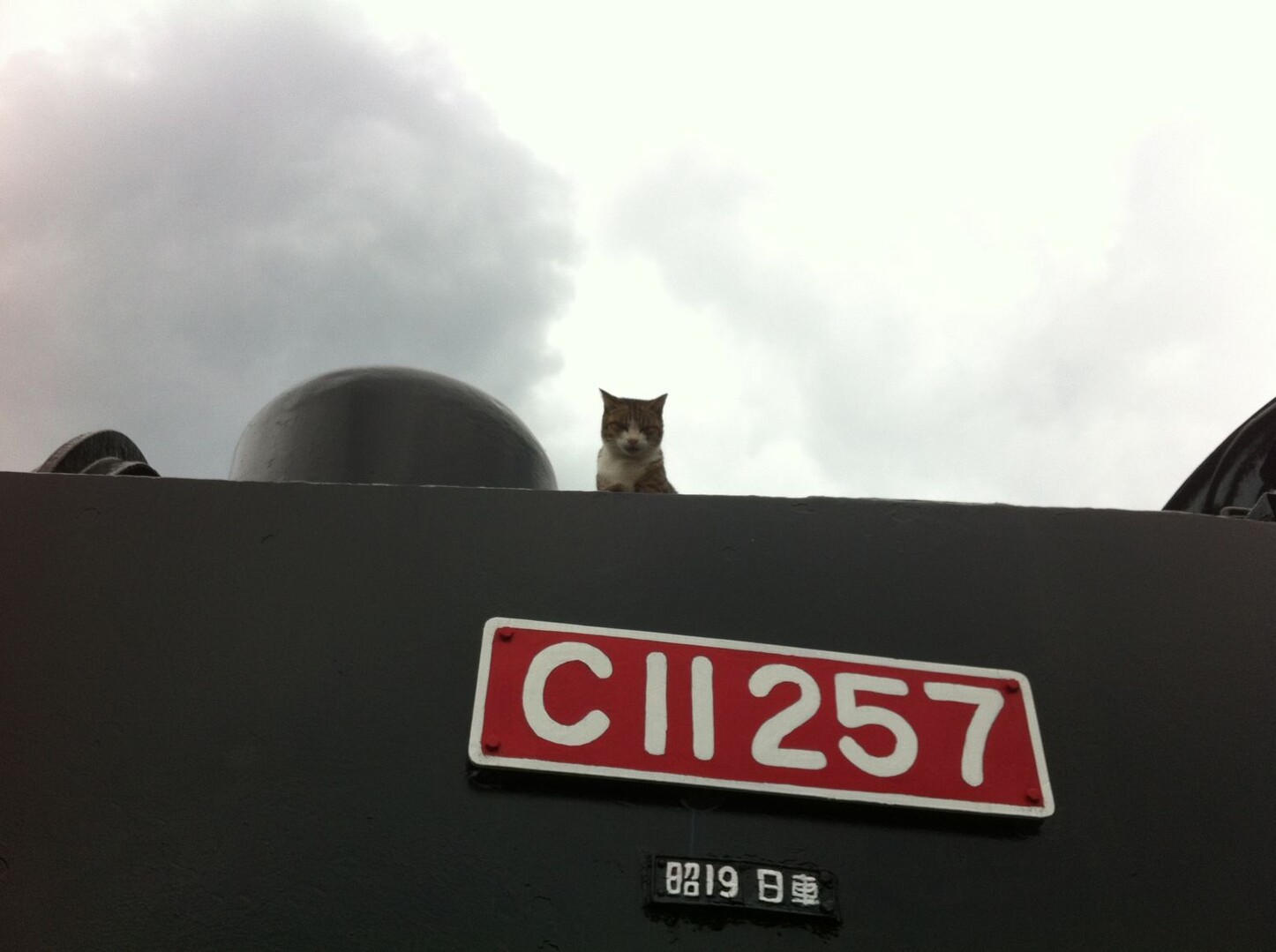 岳城山すぐに雨 / hirajunさんの宝満山・三郡山・若杉山の活動データ | YAMAP / ヤマップ