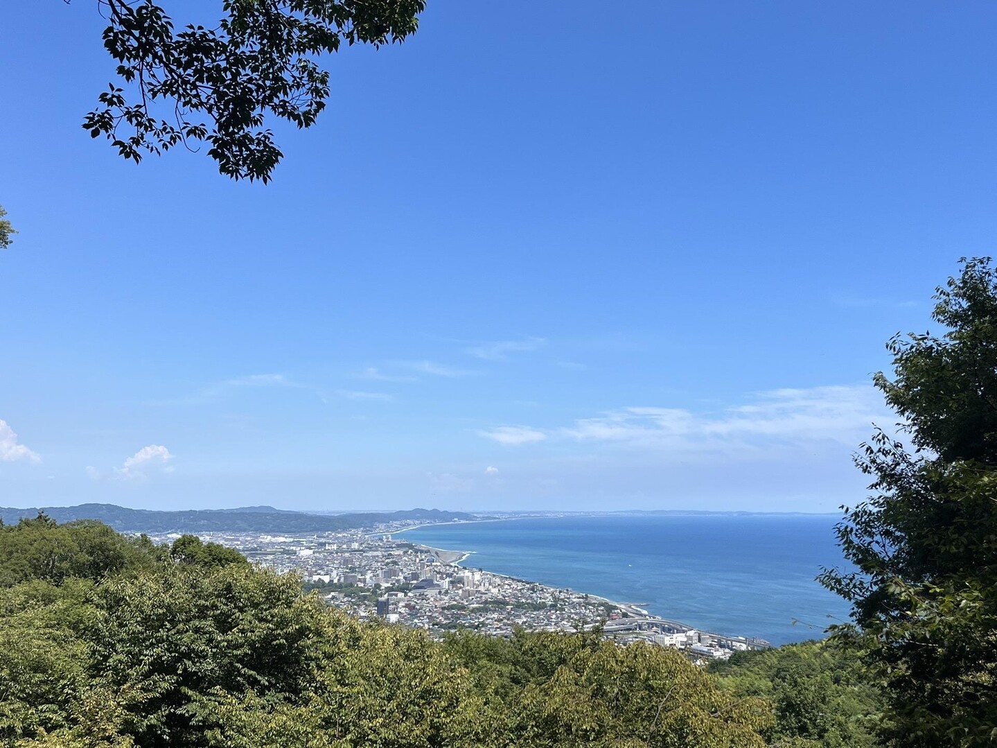 石垣山一夜城 2023-8-4 / samiさんの金時山・明神ヶ岳の活動データ | YAMAP / ヤマップ