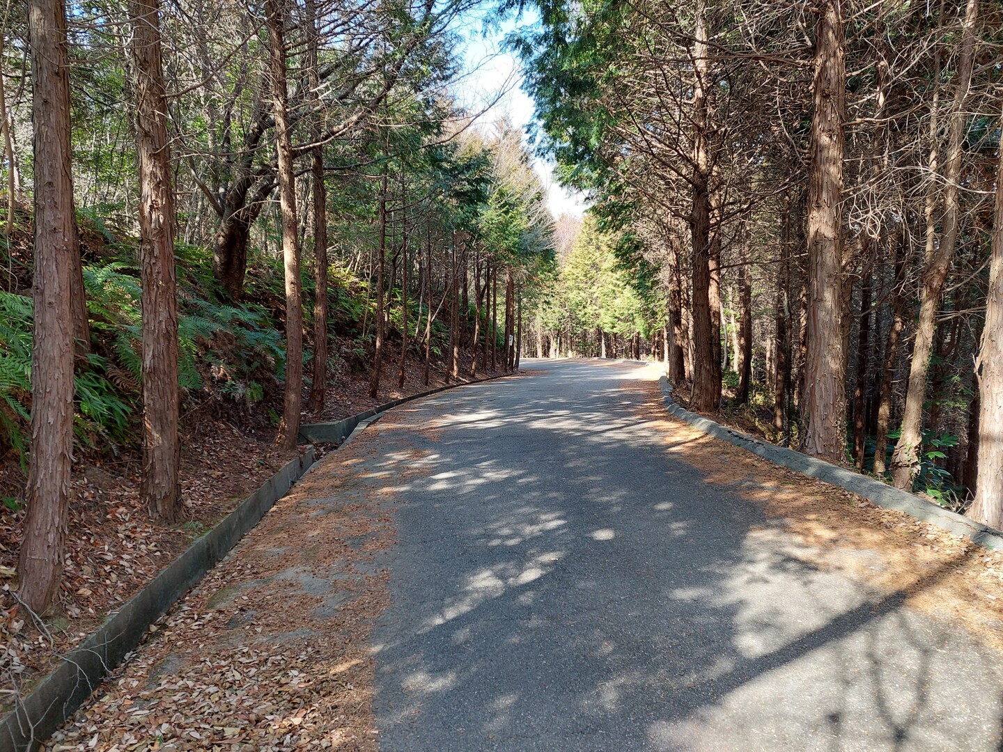 SEIJI～聖～さんの投稿したフィールドメモ | YAMAP / ヤマップ