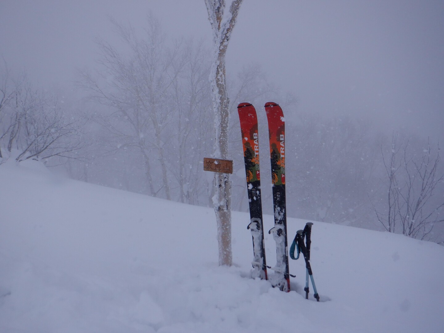 突角山 / sapさんの天幕山の活動データ | YAMAP / ヤマップ
