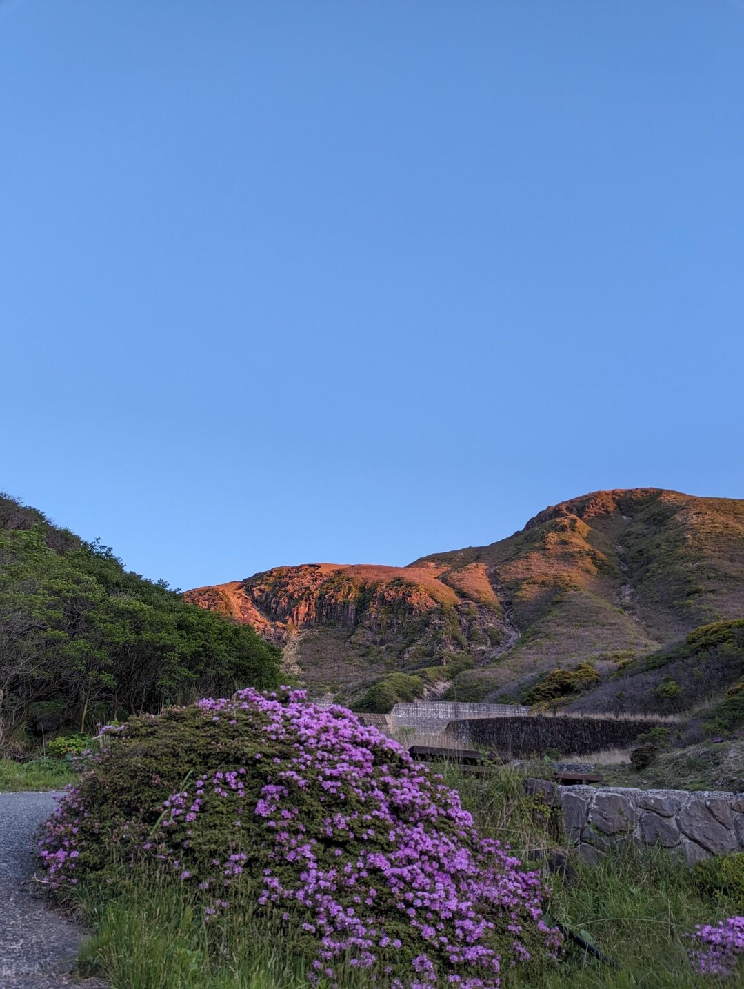 くじゅう遠征2days17サミッツ！法華院温泉山荘泊 反時計回り / mioさんの九重山（久住山）・大船山・星生山の活動データ | YAMAP / ヤマップ