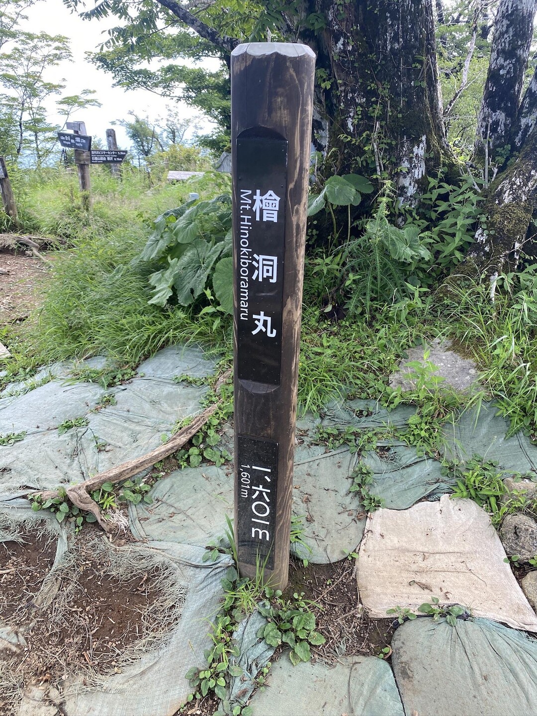 息子と2人で檜洞丸 / syu8_PPさんの大室山・畦ヶ丸山・菰釣山の活動データ | YAMAP / ヤマップ