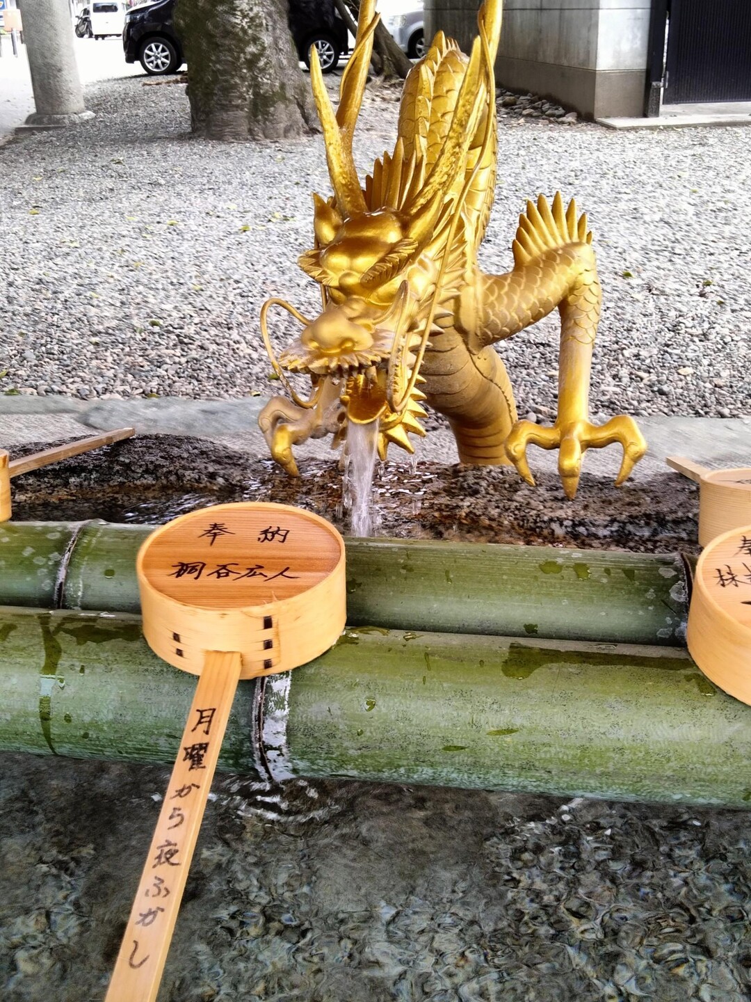 マツコさんの番組『月曜から夜ふかし』で人... / KUMIKOさんのモーメント | YAMAP / ヤマップ