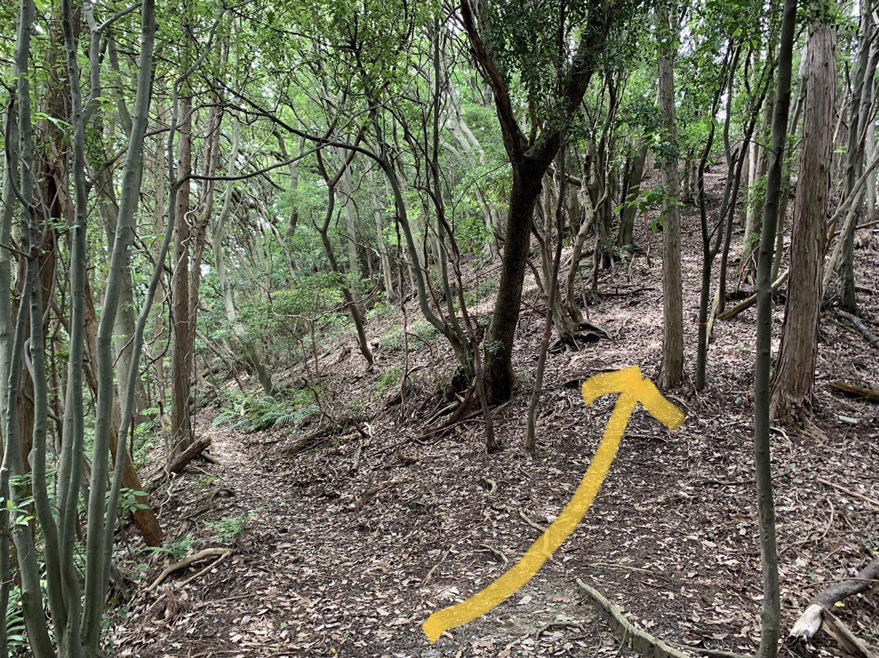 kawaさんの投稿したフィールドメモ | YAMAP / ヤマップ