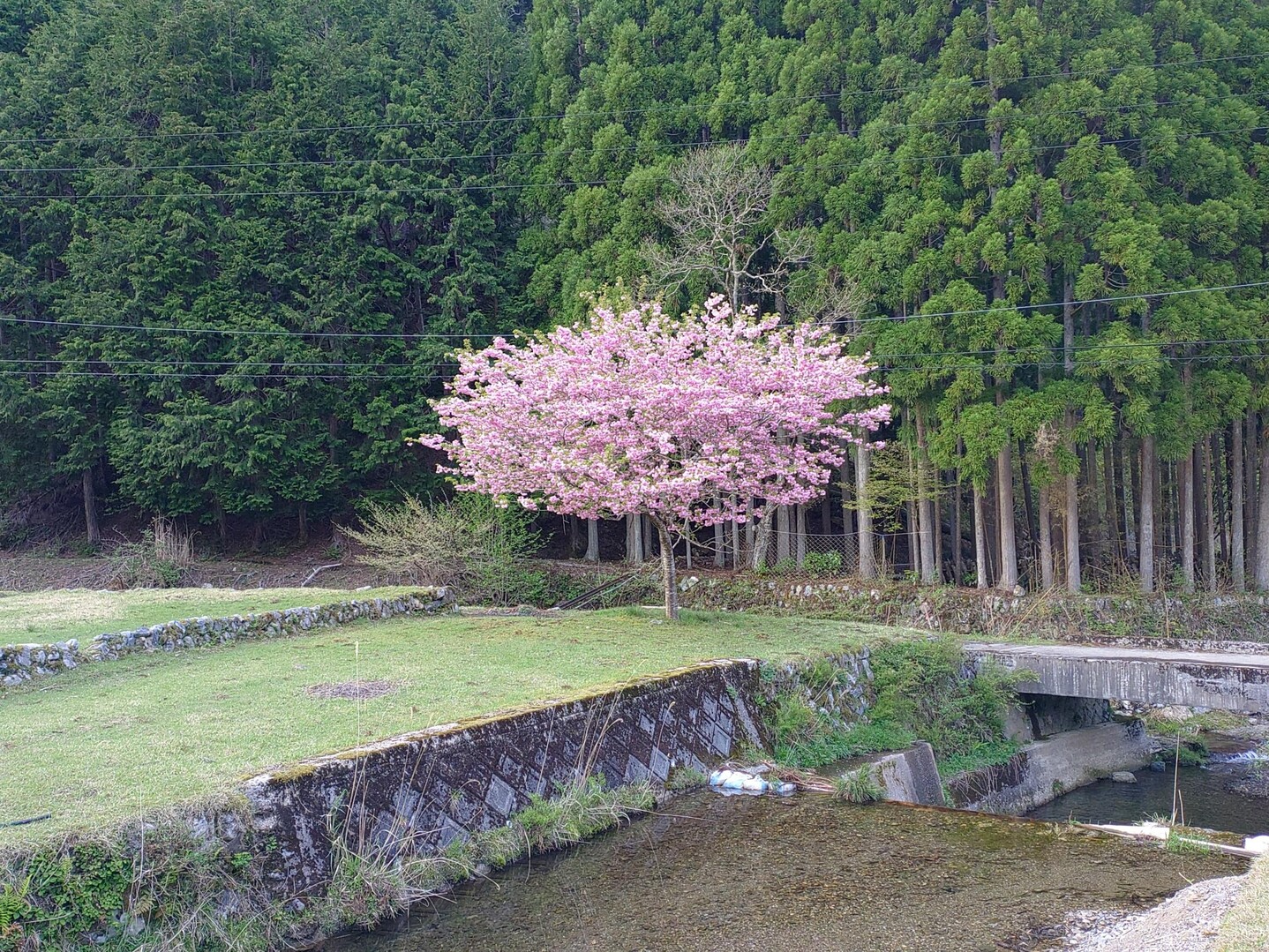ソトバ山 / R.hondaさんの品谷山・ソトバ山の活動データ | YAMAP / ヤマップ