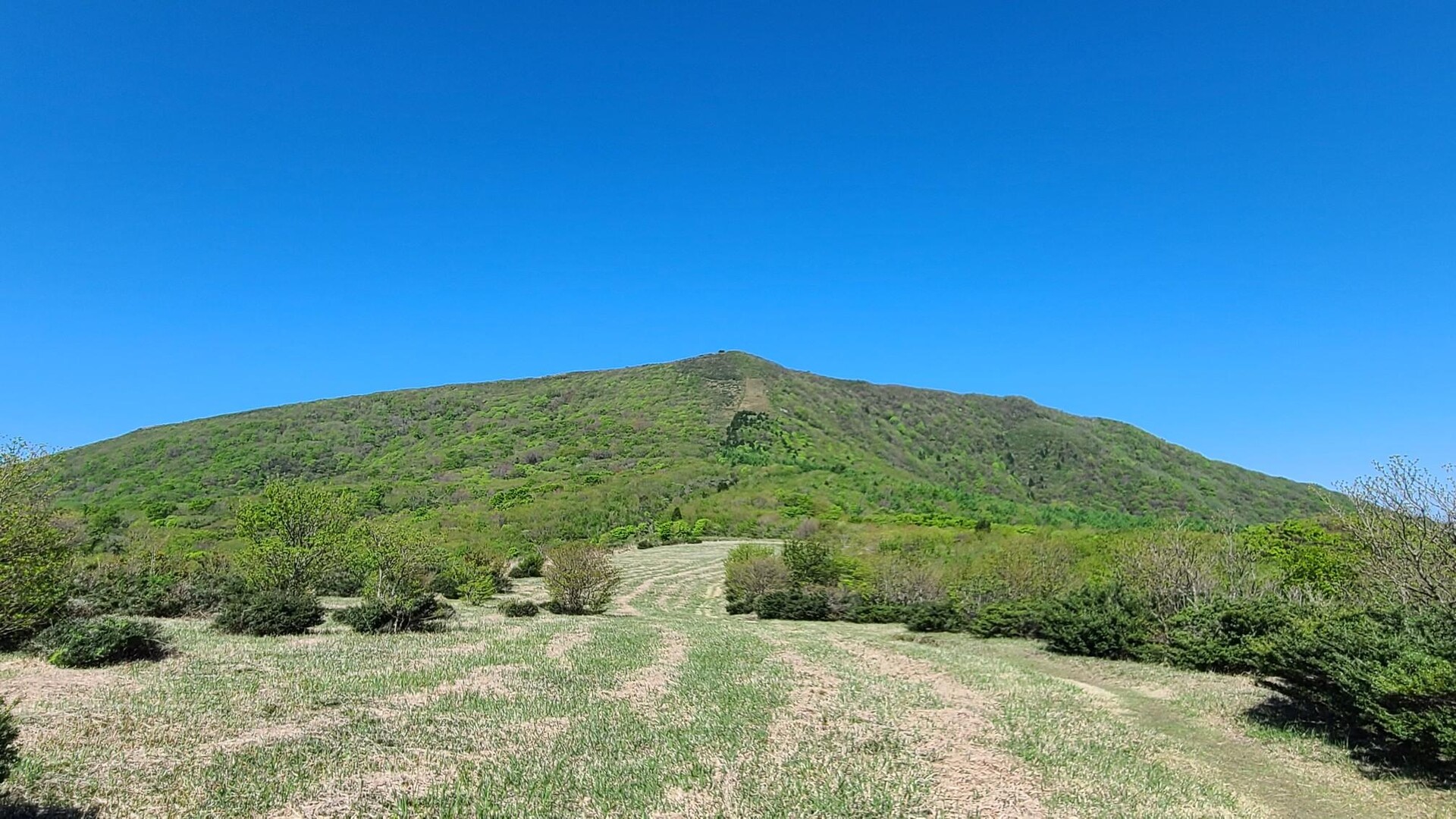 吾妻山(300名山) / sadaさんの比婆山・立烏帽子山・吾妻山の活動データ | YAMAP / ヤマップ