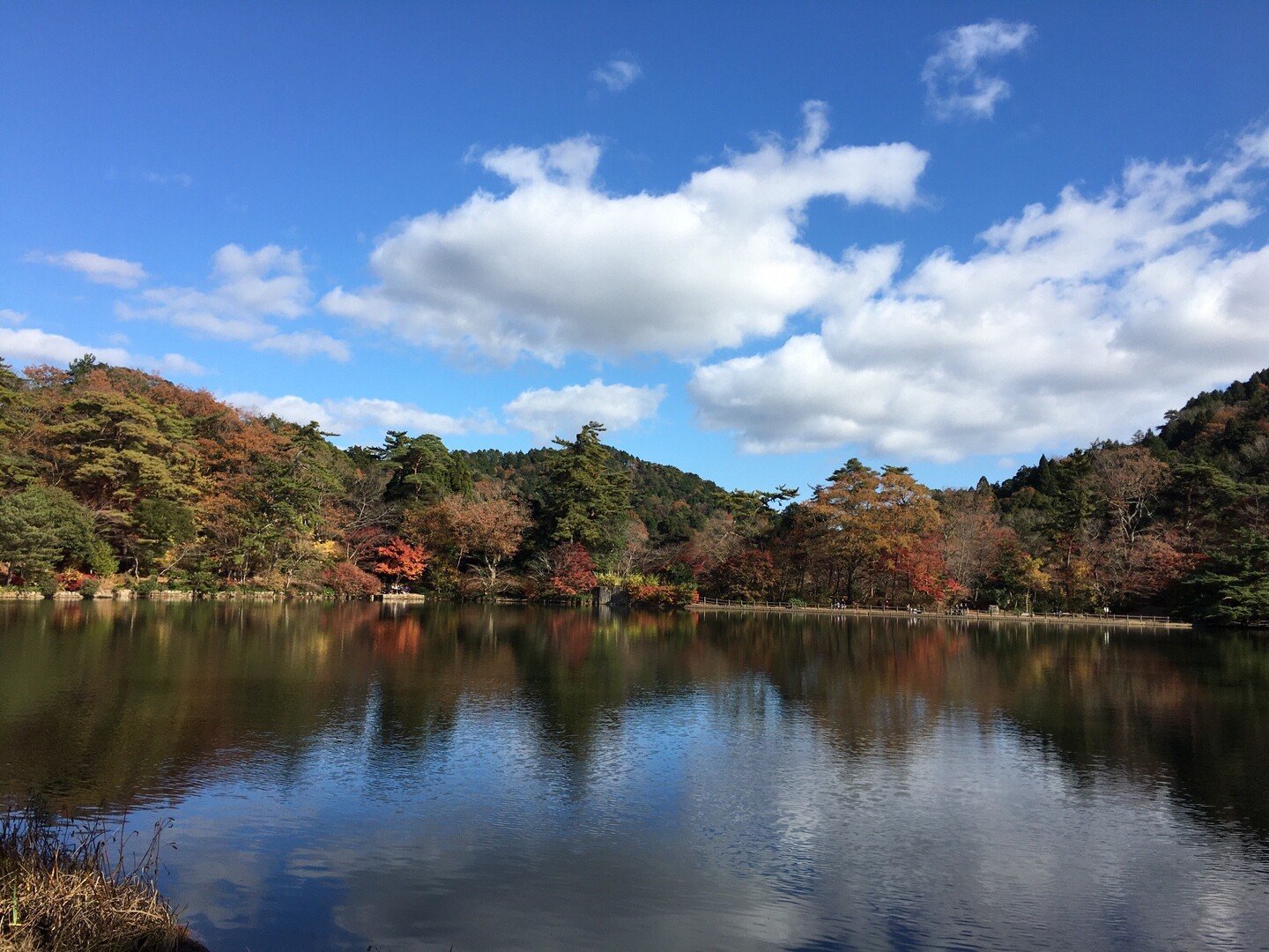 紅葉の再度公園・修法ヶ原池へ / hikkyさんの六甲山・長峰山・摩耶山の活動日記 | YAMAP / ヤマップ