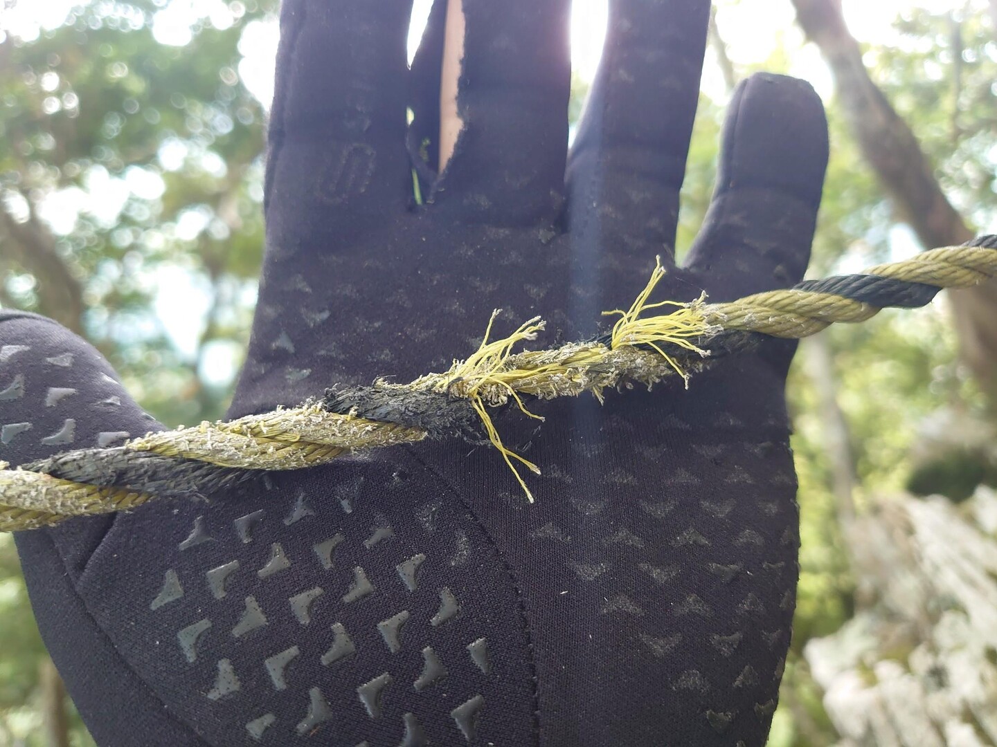 maru_maru_tomoさんの投稿したフィールドメモ | YAMAP / ヤマップ