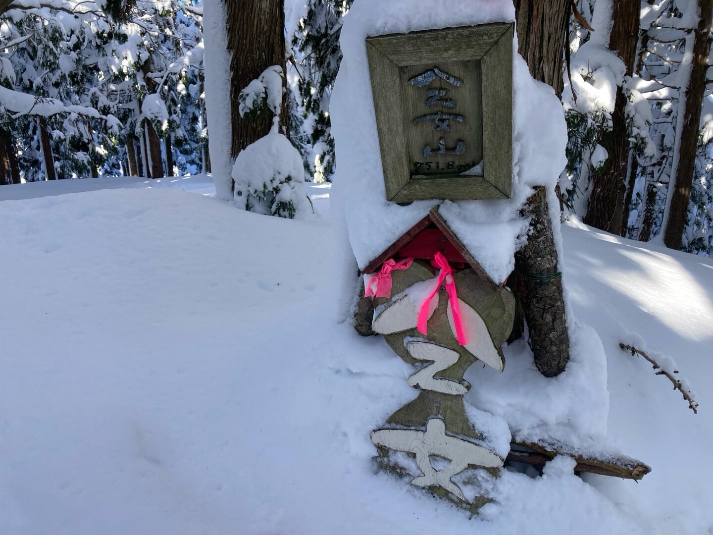 八乙女山 / hachiさんの牛岳の活動データ | YAMAP / ヤマップ