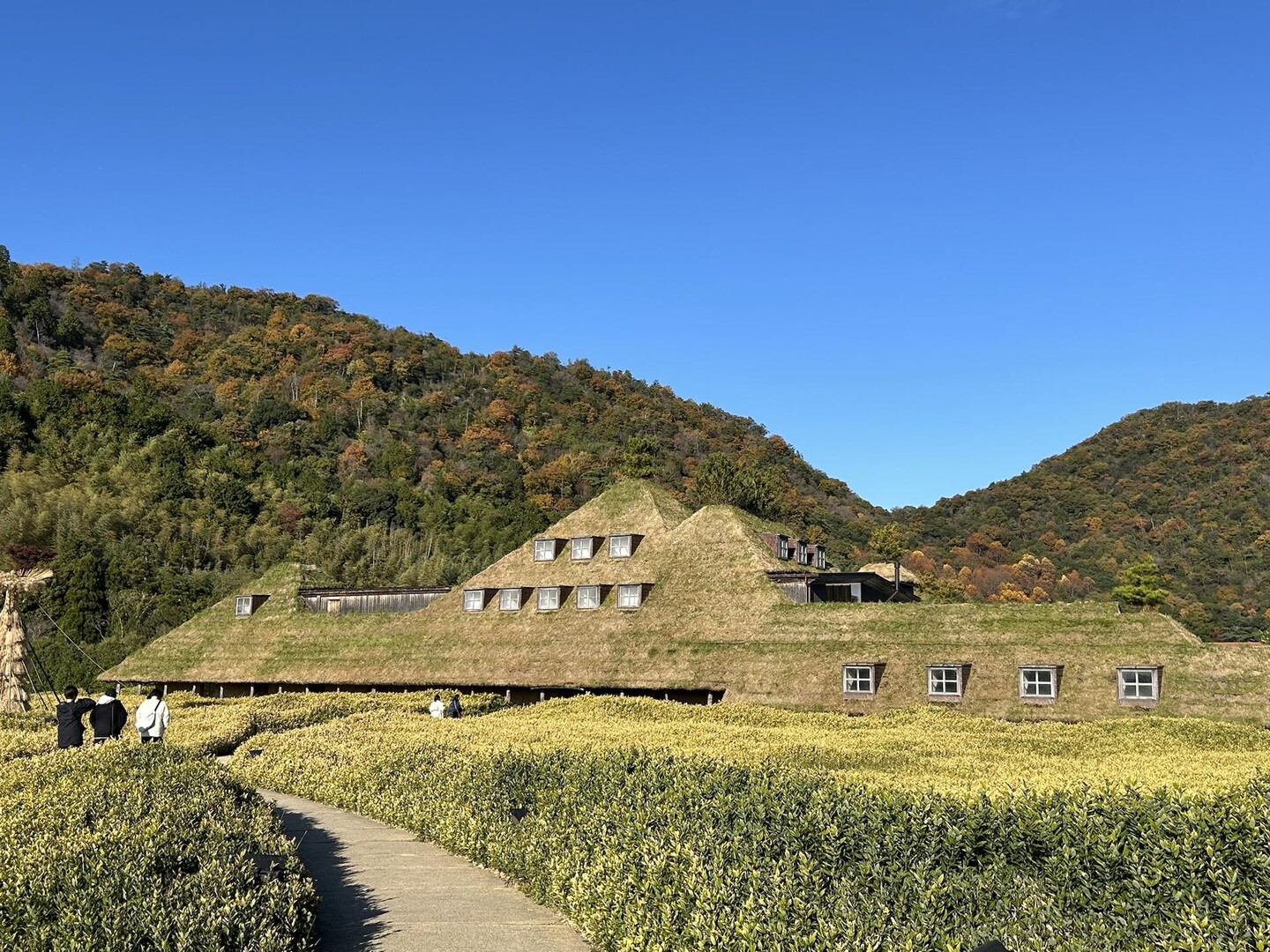 HELLO SHIGA & KYOTO ... / チャムGmbHさんのモーメント | YAMAP / ヤマップ