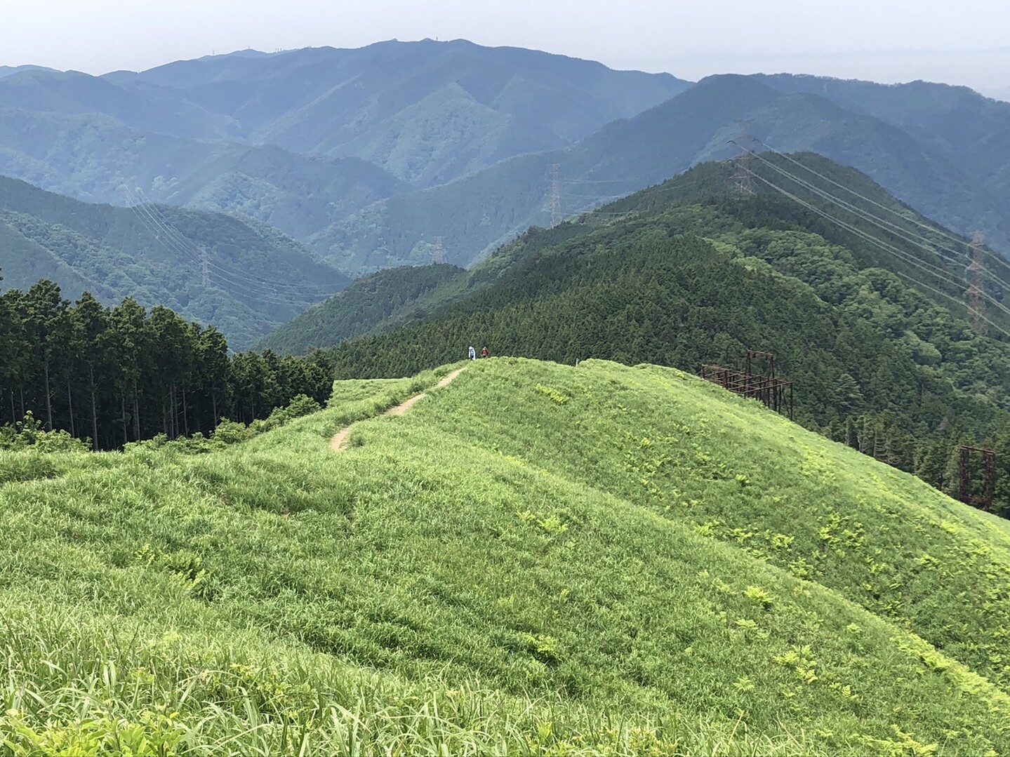 岩湧山から千石谷へ / Andyさんの金剛山・二上山・大和葛城山の活動データ | YAMAP / ヤマップ