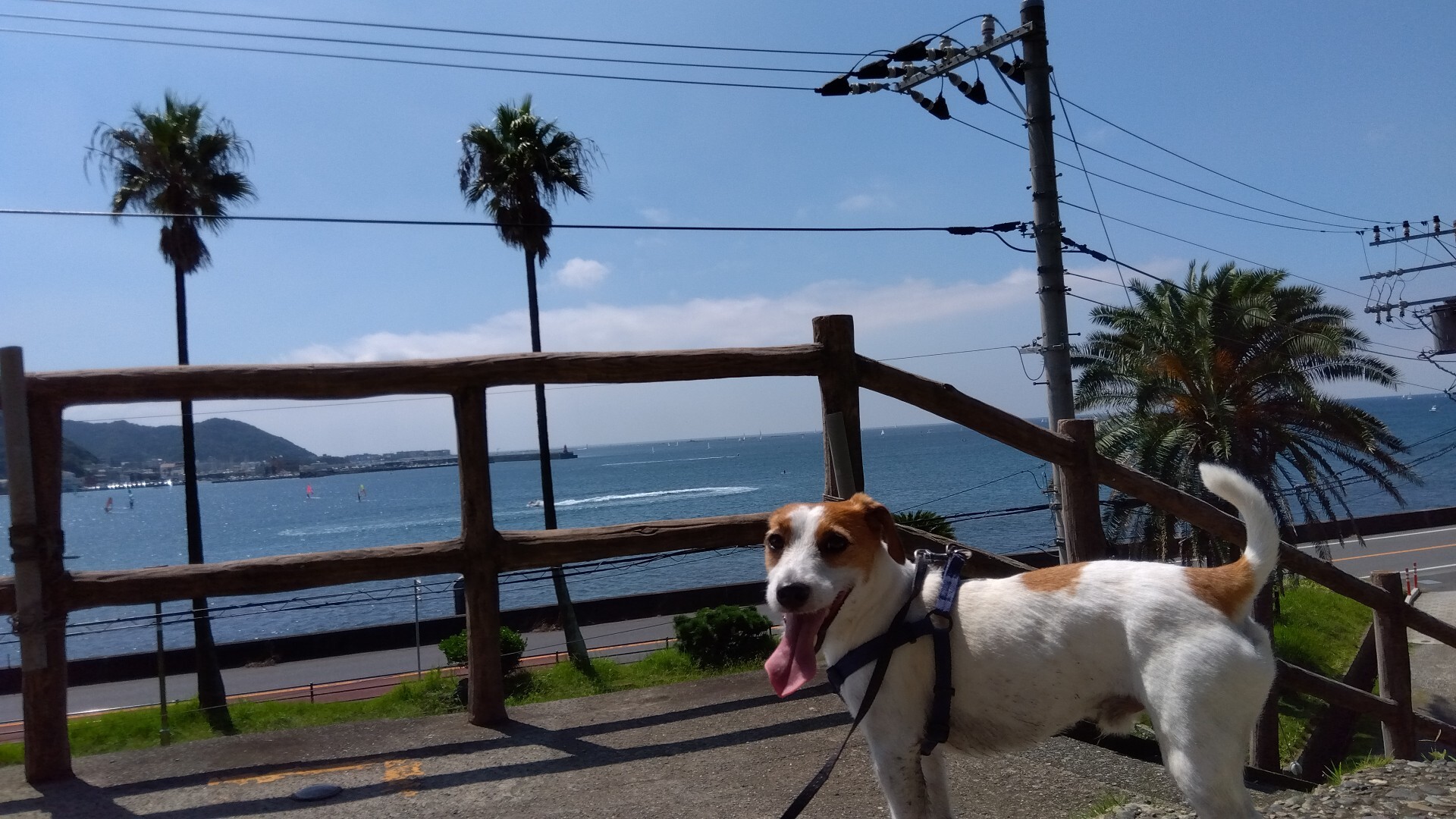 逗子浪子不動ハイキングコース&披露山公園お散歩 / Veenaさんのウォーキングの活動データ | YAMAP / ヤマップ