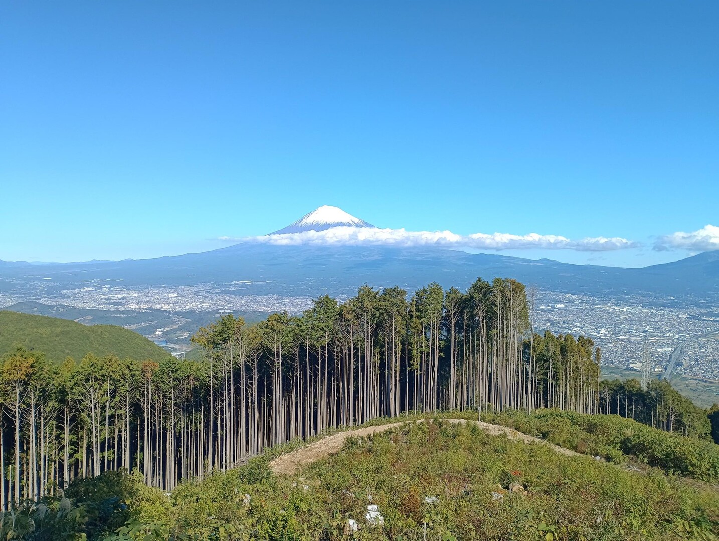 大久保山・大丸山・大平山・金丸山 / f-muraさんの金丸山・大丸山・雨乞山の活動データ | YAMAP / ヤマップ