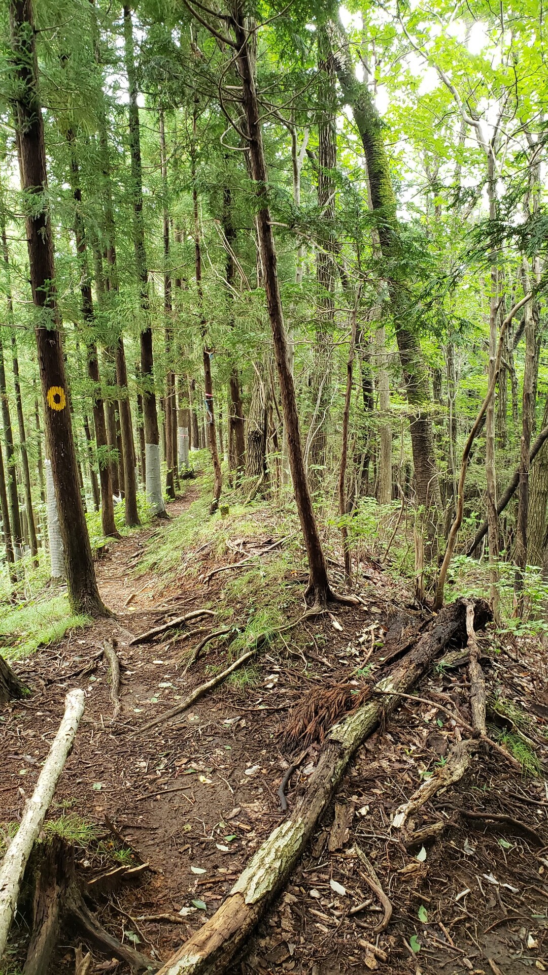 str_0307さんの投稿したフィールドメモ | YAMAP / ヤマップ