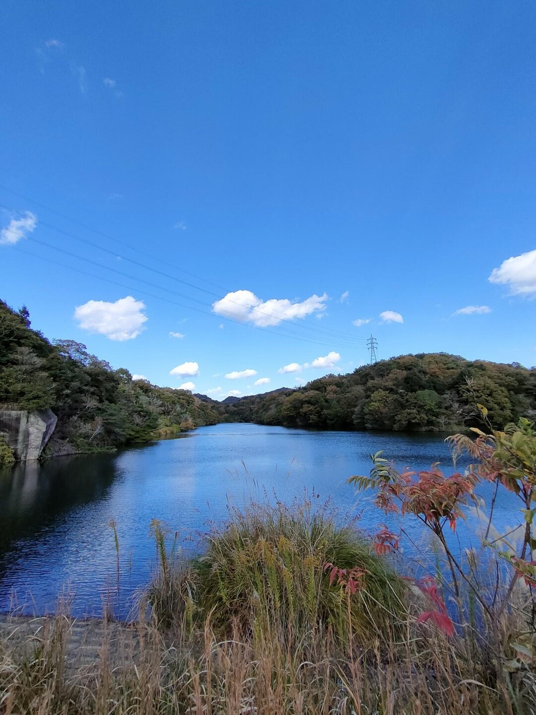 ドウダントンネルの紅葉は、、⁉️ / なべちゃんさんの霜降岳（霜降山）・観音岳・白岩山の活動データ | YAMAP / ヤマップ