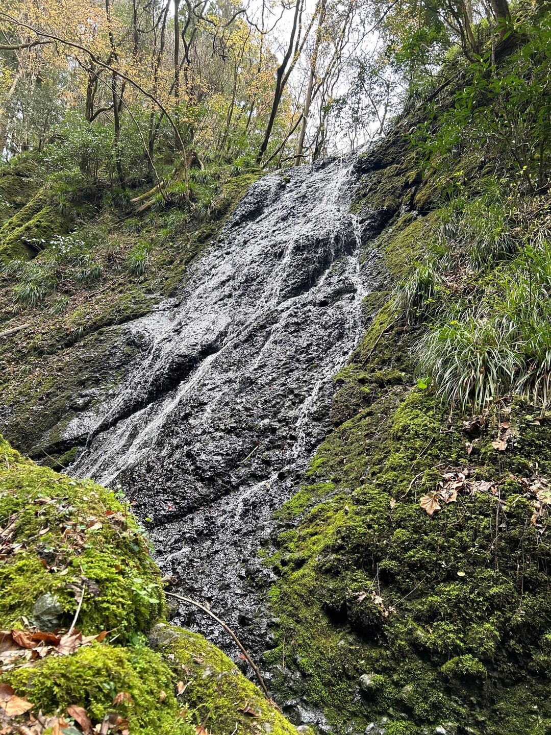 八助 (Yasuke)さんの投稿したフィールドメモ | YAMAP / ヤマップ