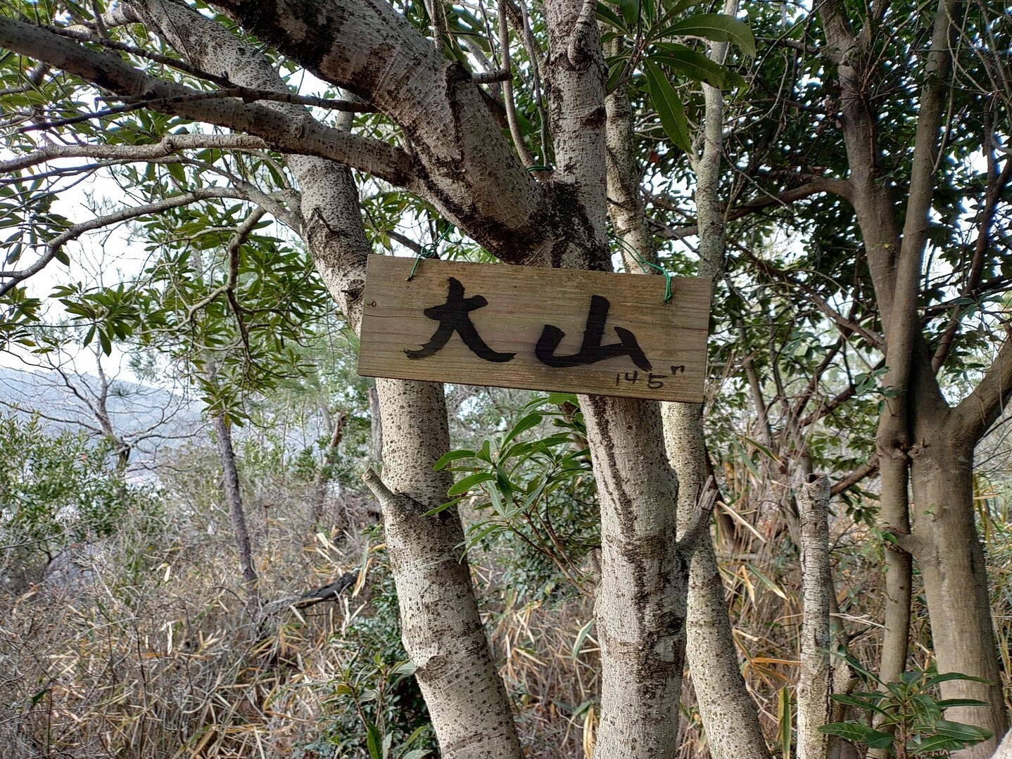 高鳥居山・狸岩山・大山 / 山男さんの福山・江田山・高鳥居山の活動日記 | YAMAP / ヤマップ