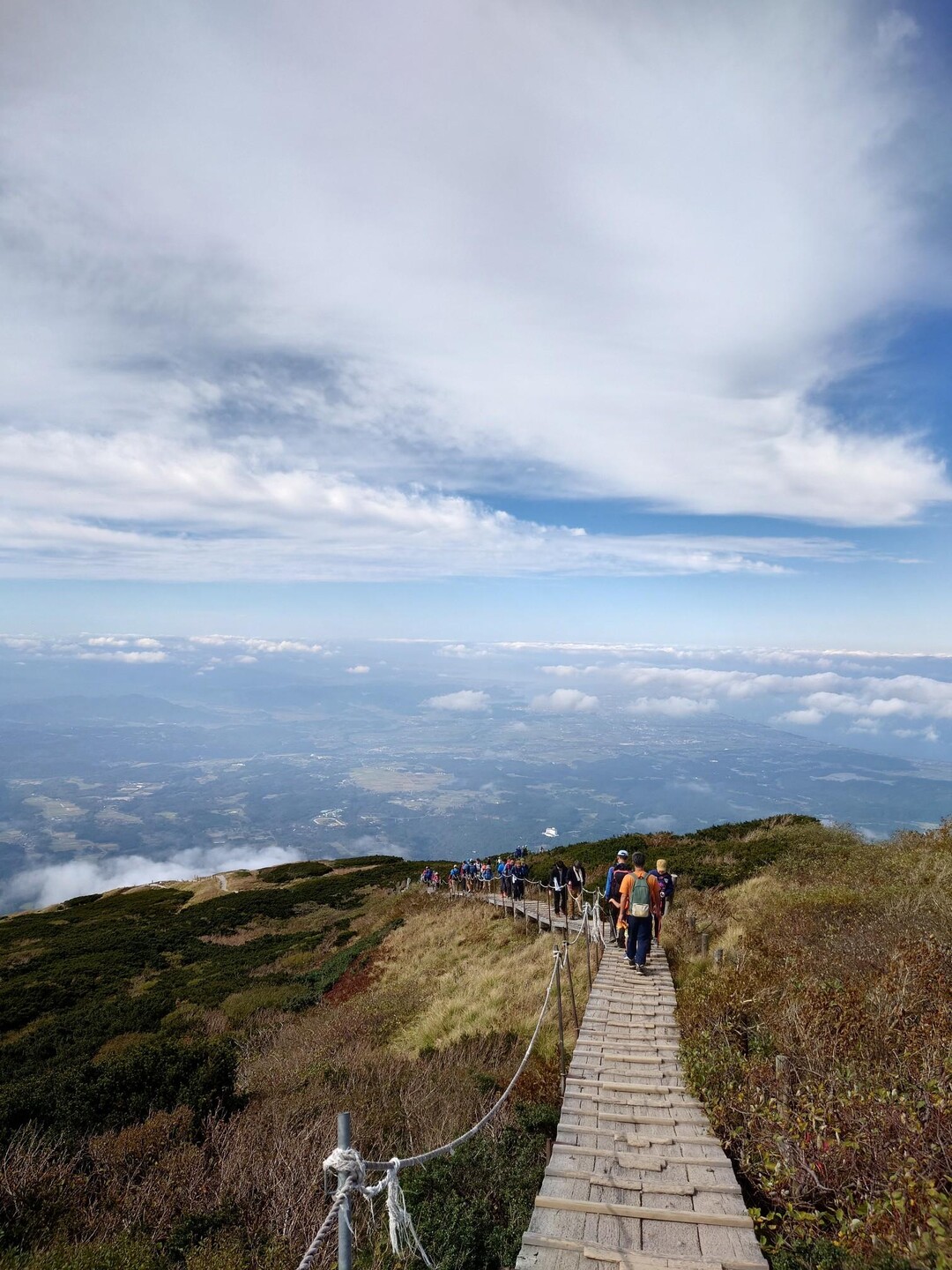 ゆるハイク / Sarahさんの大山・甲ヶ山・野田ヶ山の活動データ | YAMAP / ヤマップ