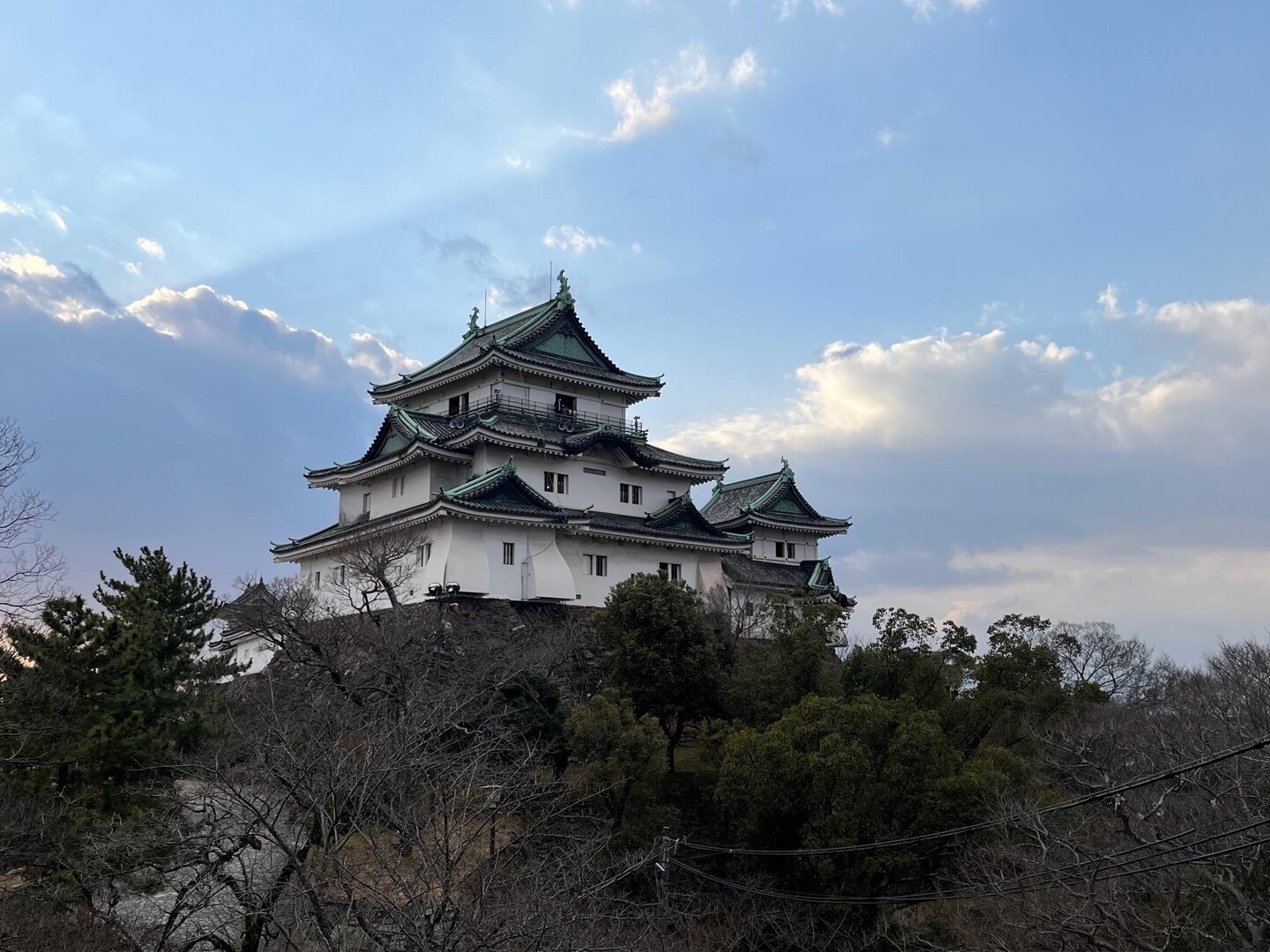 和歌山城🏯虎伏山 / mskふぅさんの高森山・四国山・学文字山の活動データ | YAMAP / ヤマップ