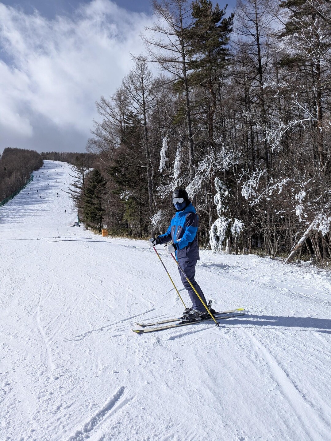 Blizzard,ohBlizzar... / hitomiさんのモーメント | YAMAP / ヤマップ