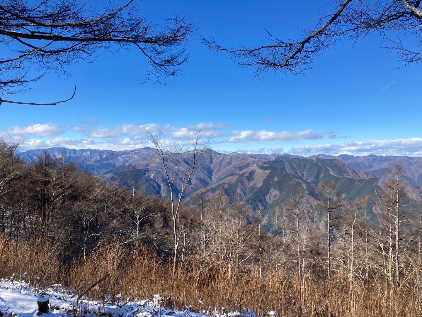 ソーヤノ丸デッコ・惣岳山・御前山・若緑山・モーテ山・湯久保山・仏岩ノ頭 / のぶさんの大岳山・御岳山・御前山の活動データ | YAMAP / ヤマップ