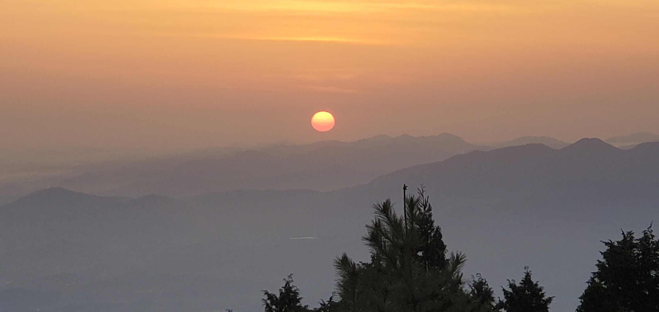 葛城古道-2024-04-14 / meg さんの葛城古道の活動データ | YAMAP / ヤマップ