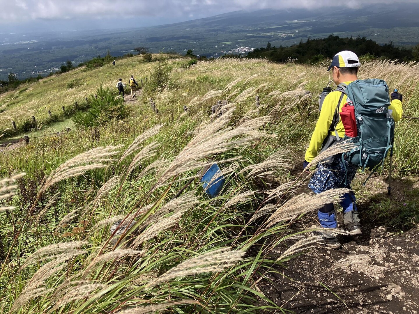 笹藪とお花と〜飯盛山−2024.9.14 / shokoさんの飯盛山の活動日記 | YAMAP / ヤマップ