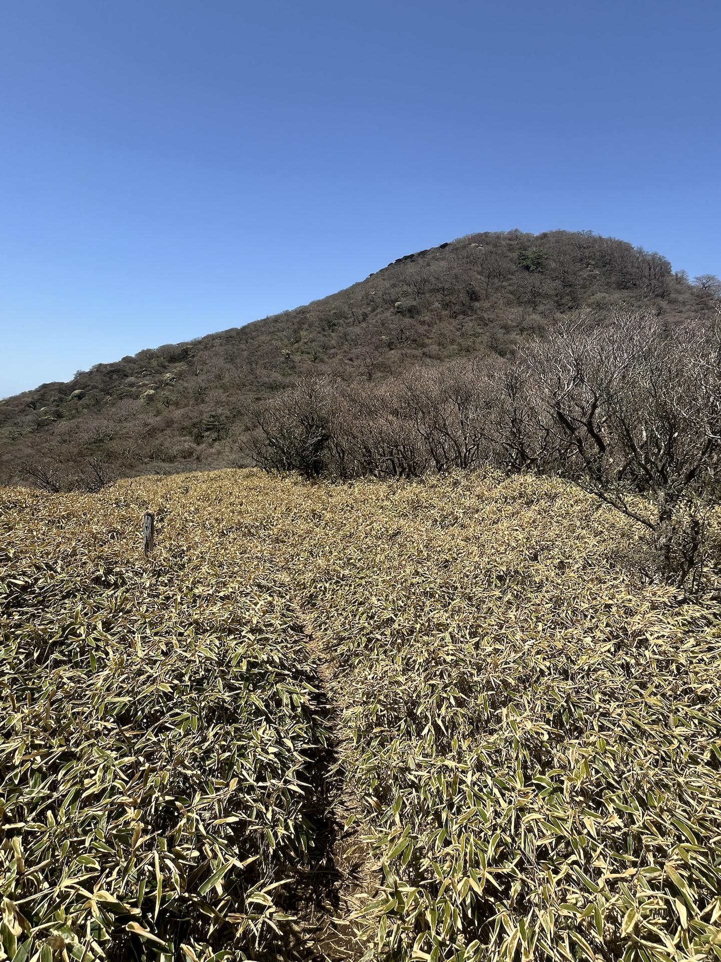 箱根駒ヶ岳 / T.sunadaさんの箱根山・神山の活動データ | YAMAP / ヤマップ