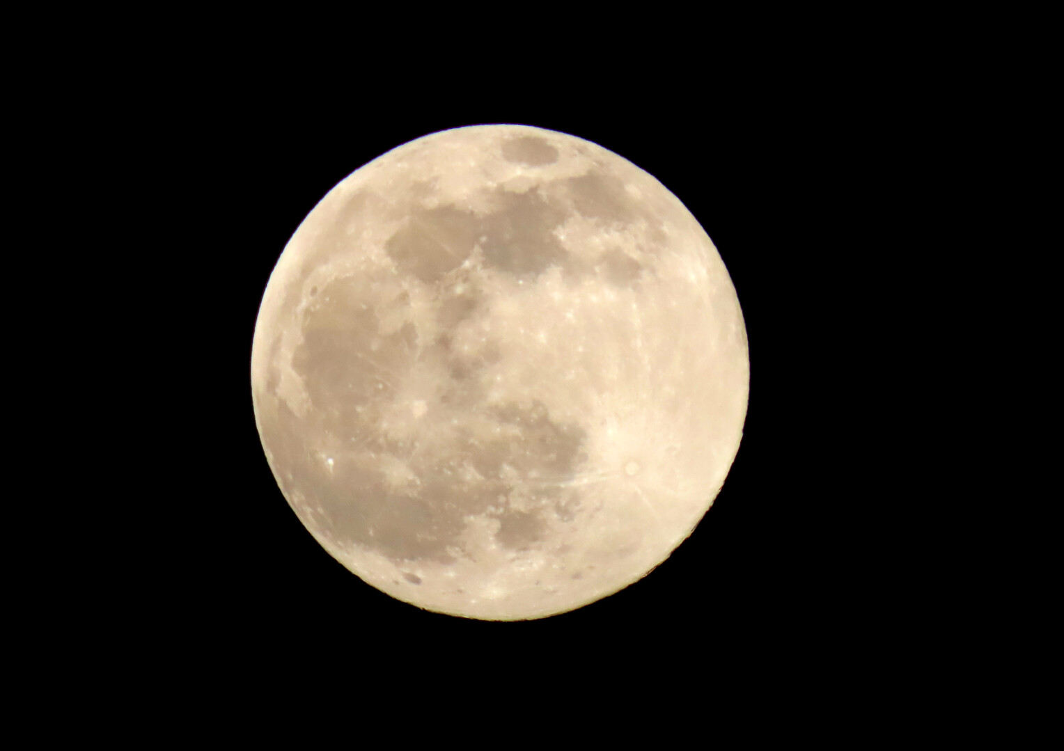 春宵にピンクムーン見えたよ～🎶 淡～い... / なべ🍎さんのモーメント | YAMAP / ヤマップ