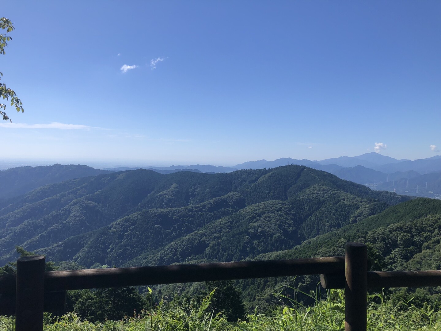 高尾山→景信山 / moeさんの高尾山・陣馬山・景信山の活動データ | YAMAP / ヤマップ