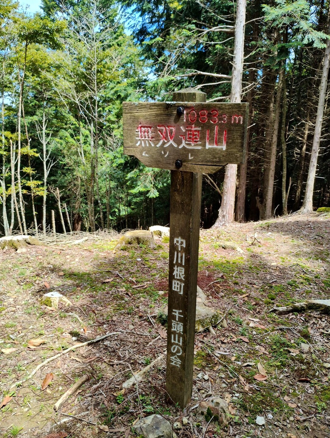 無双連山 / timさんの和名倉山・笠取山・東仙波の活動データ | YAMAP / ヤマップ