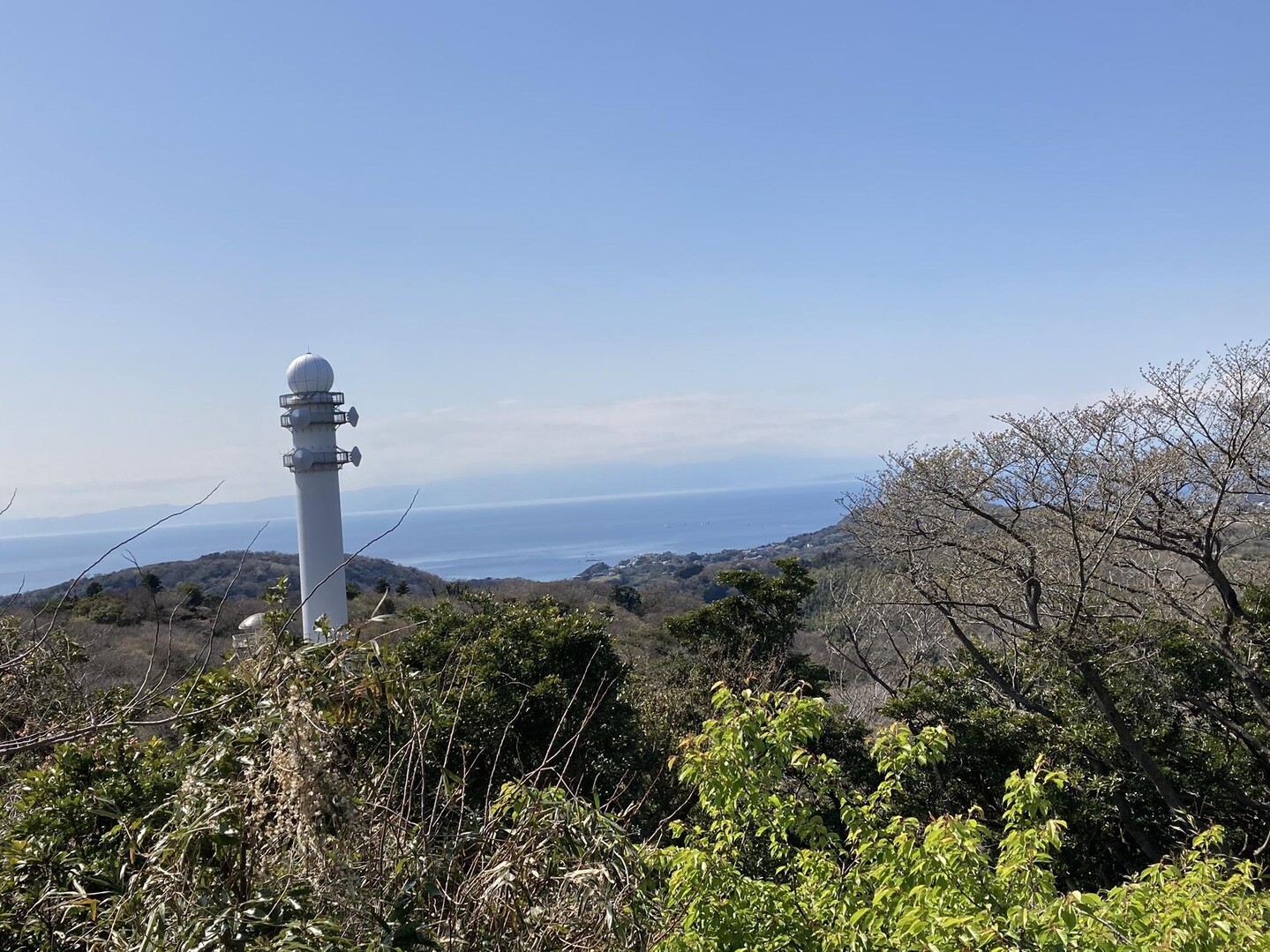 2023.3.19 湘南国際村から大楠山... / ひろこばあばさんのモーメント | YAMAP / ヤマップ