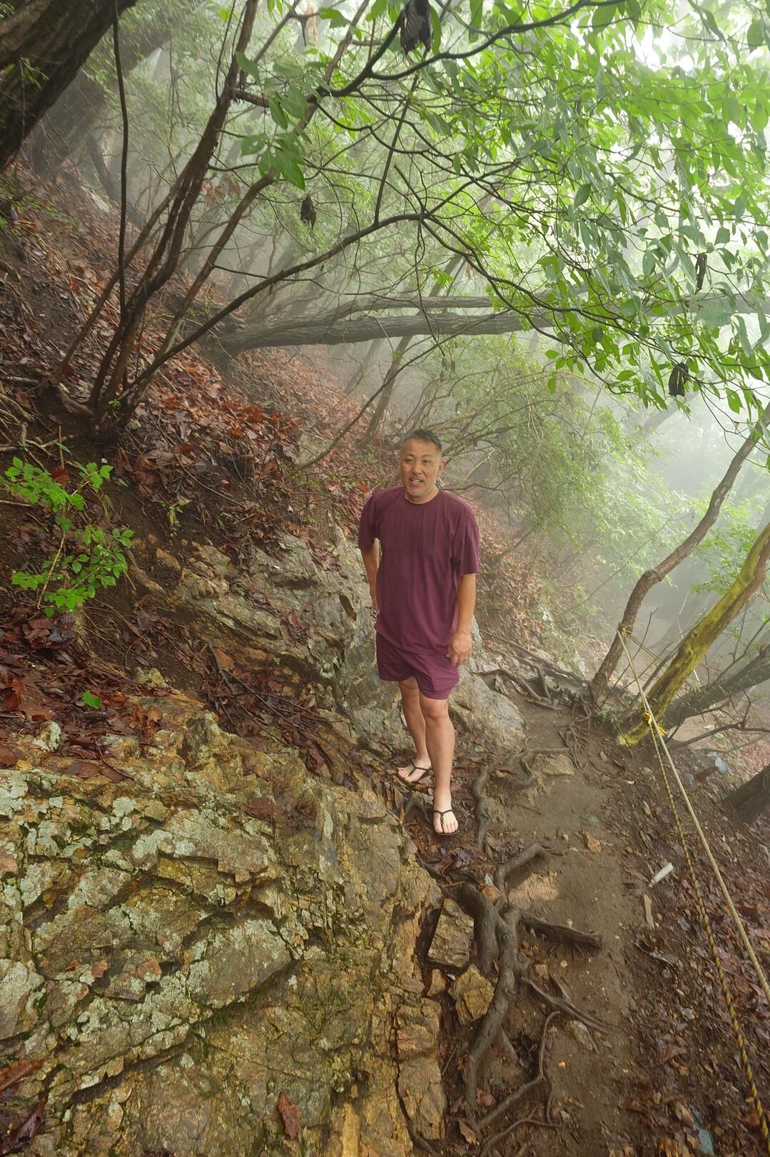 明日梅雨明け?? 28分登頂 / ta2さんの鳴神山・吾妻山の活動データ | YAMAP / ヤマップ