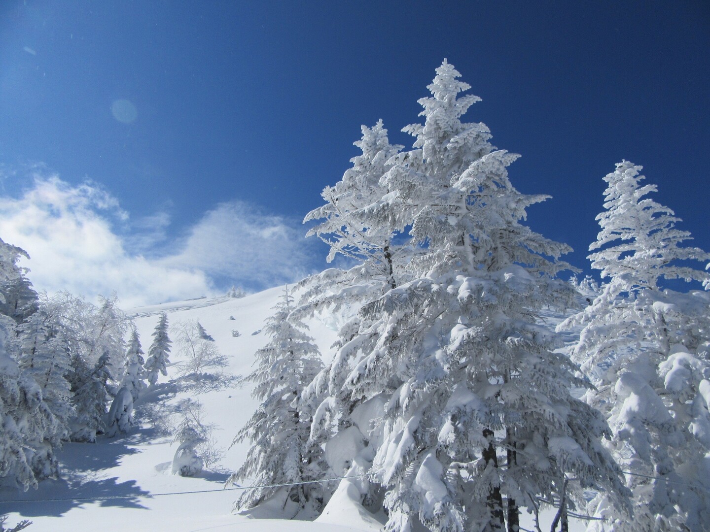 東天狗岳 / e_kuneさんの八ヶ岳（赤岳・硫黄岳・天狗岳）の活動データ | YAMAP / ヤマップ