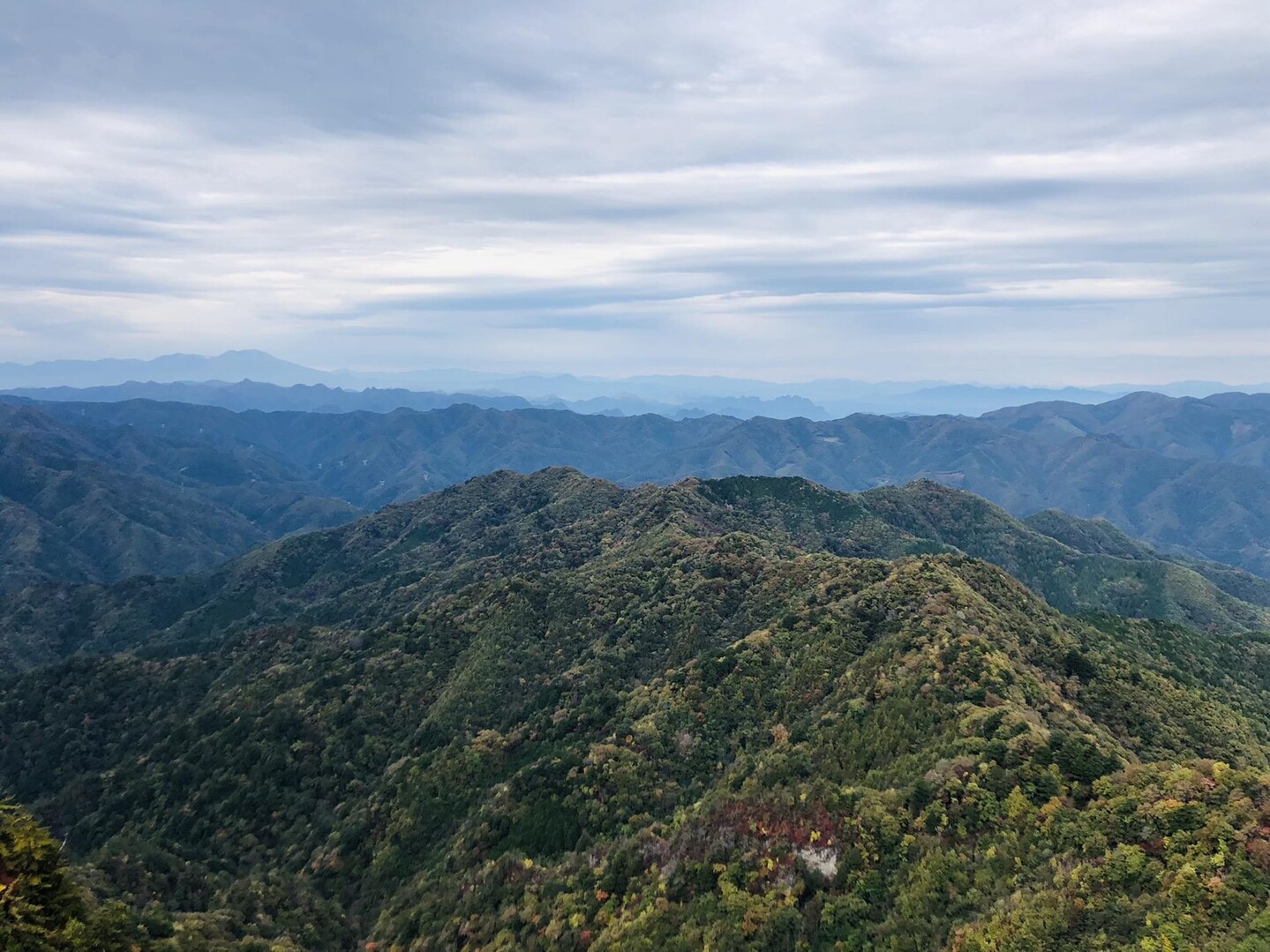 小倉山・ヤツウチグラ（三笠山）・諏訪山 / necomaru Xさんの諏訪山の活動データ | YAMAP / ヤマップ