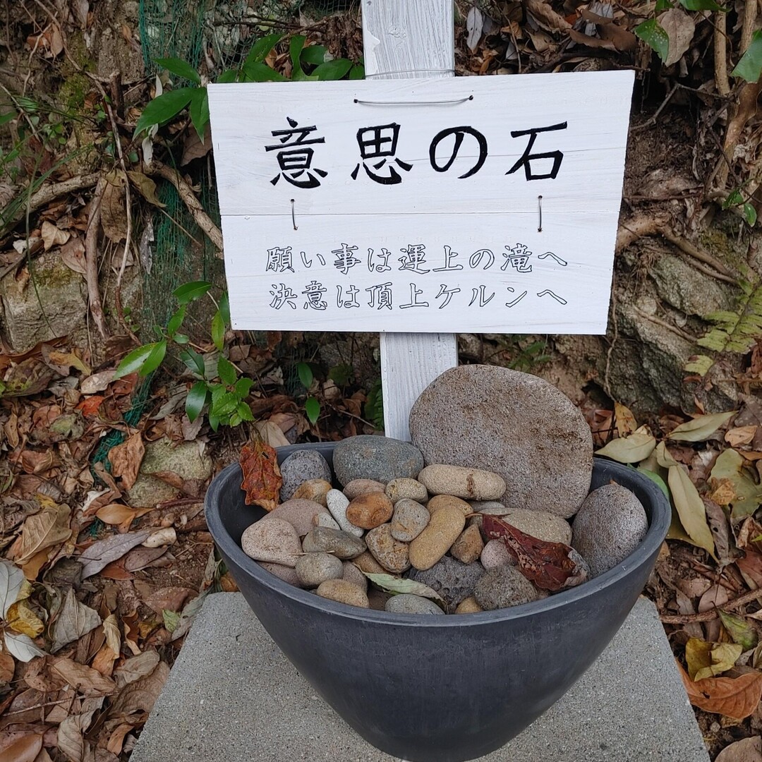 作礼山・作礼山東峰（権現山）・897ピーク / くみさんさんの作礼山の活動データ | YAMAP / ヤマップ