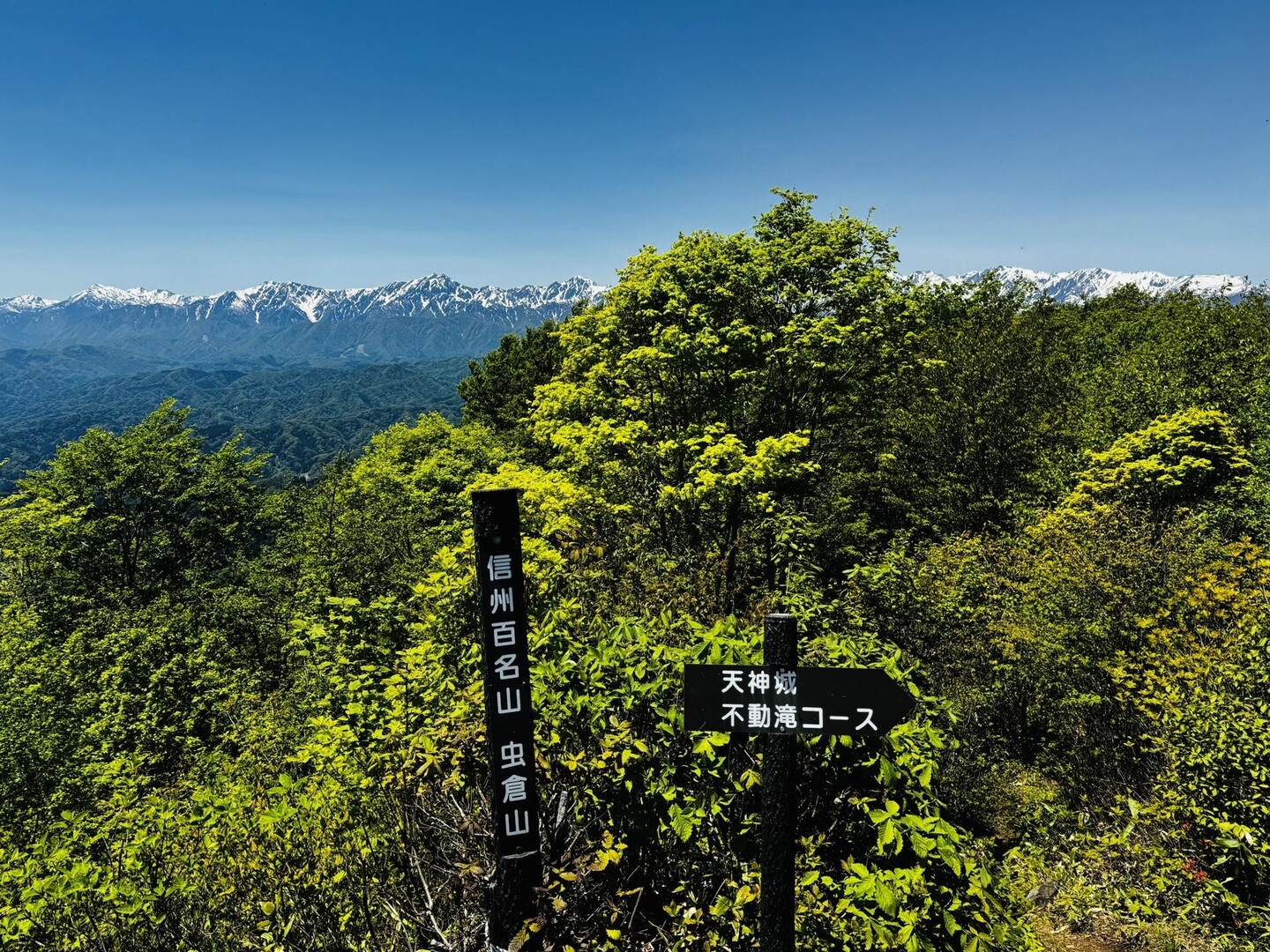 【信州百名山】虫倉山 / mina さんの砂鉢山・虫倉山の活動データ | YAMAP / ヤマップ