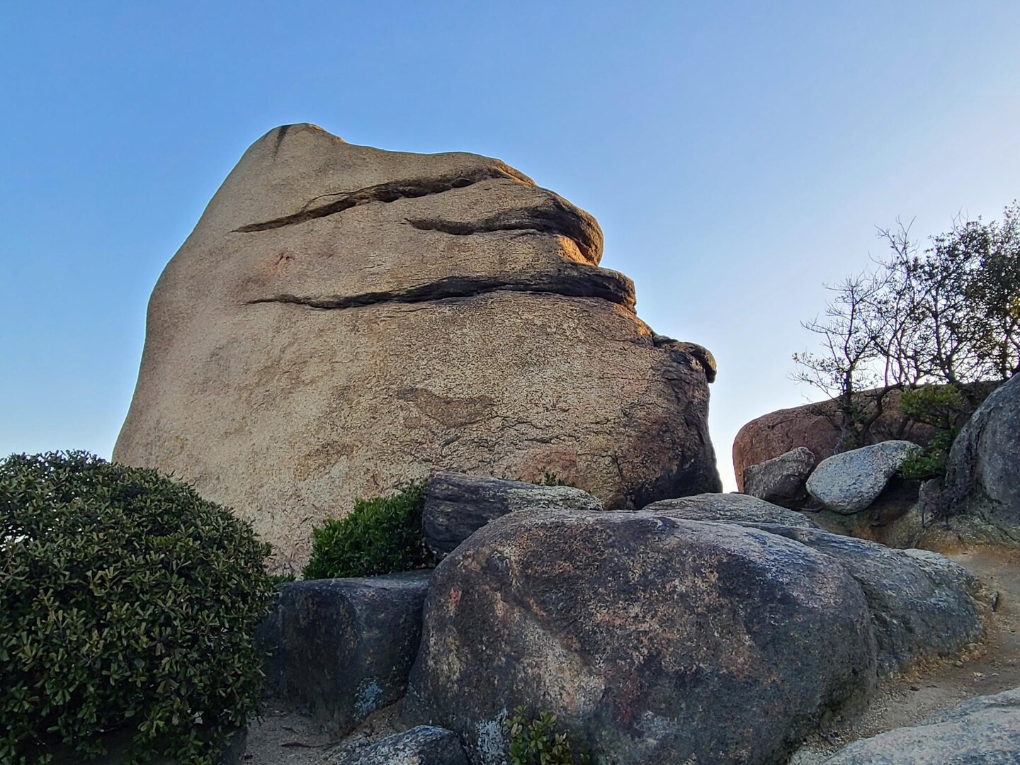 ニコニコ岩とか / jnkさんの王子が岳・神登山・臥竜山の活動データ | YAMAP / ヤマップ
