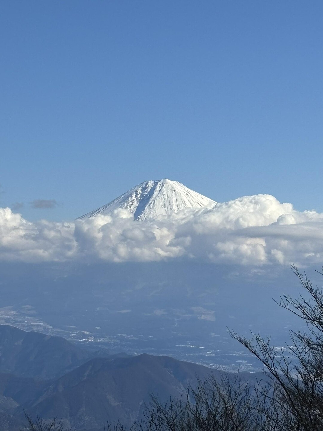 大冒険だよ💦青笹山〜真富士山縦走 / shinoさんの青笹山の活動データ | YAMAP / ヤマップ