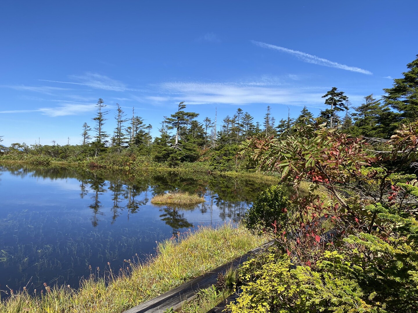 焼額山・稚児池（志賀高原） / YaMaPeeさんの岩菅山・寺小屋峰の活動データ | YAMAP / ヤマップ