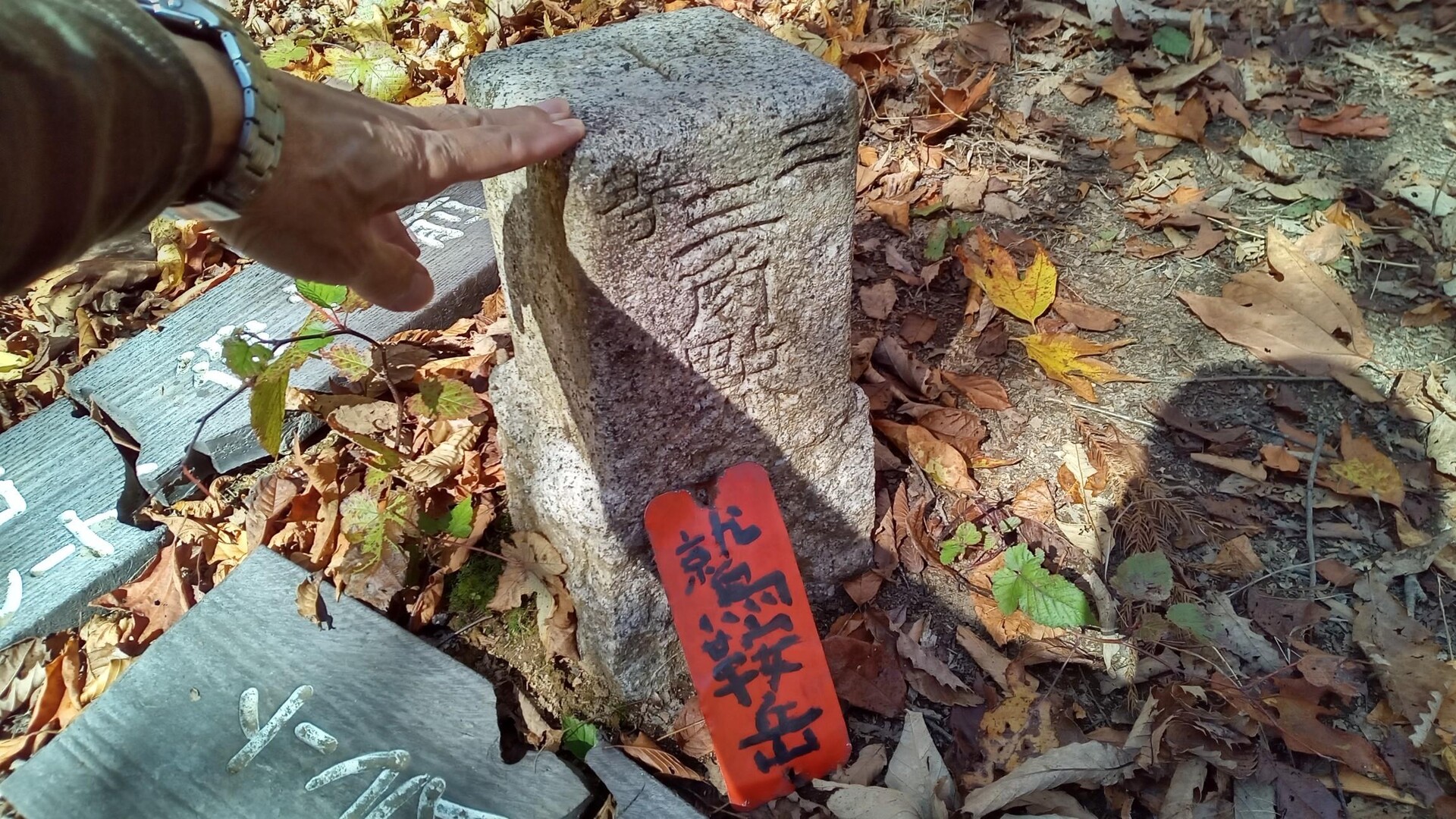 鷲鞍岳(三等三角点)〜九頭竜IC開通 / ryu1334さんの鷲鞍岳の活動データ | YAMAP / ヤマップ